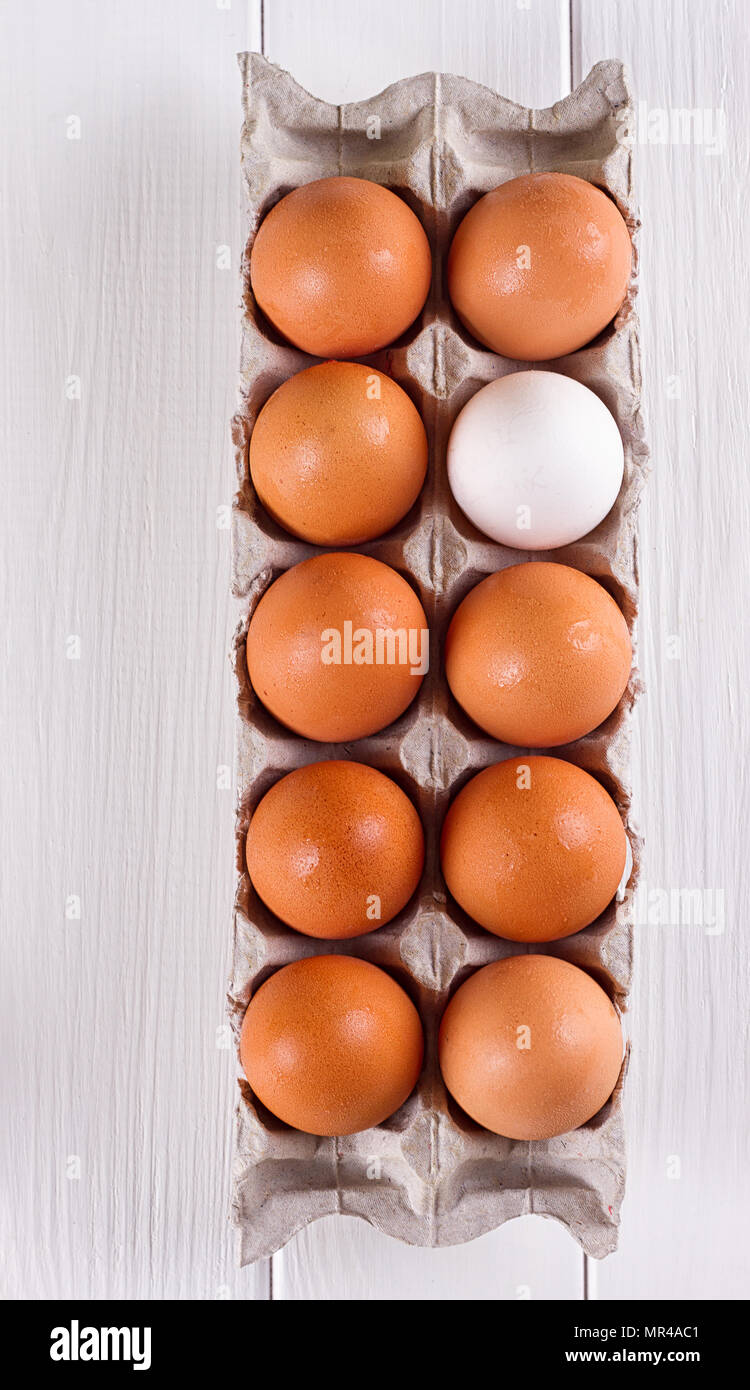 Container of ten eggs. Nine eggs brown one egg white. on white ...