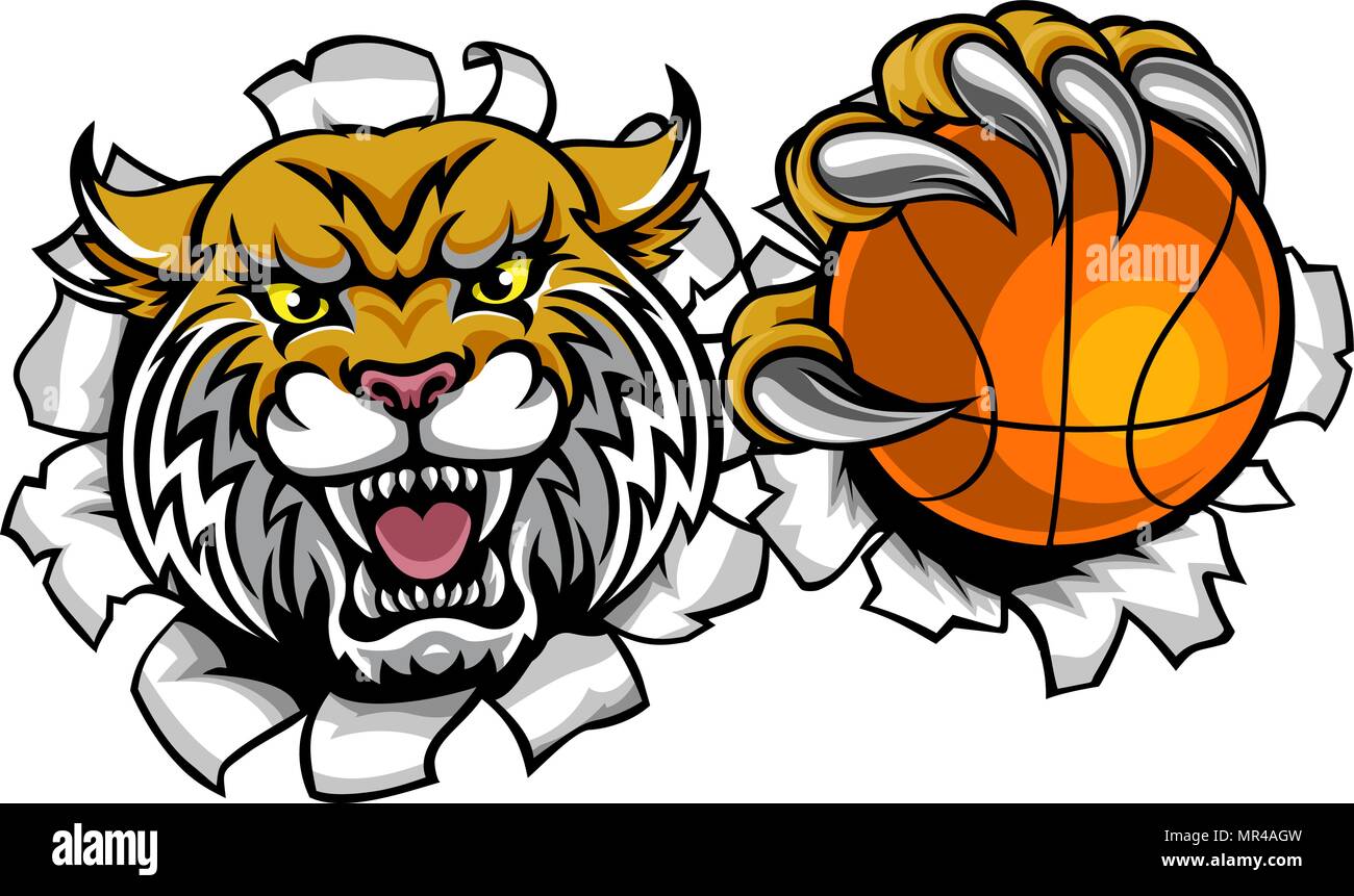 Wildcat Basketball Ball Mascot Stock Vector Image & Art - Alamy