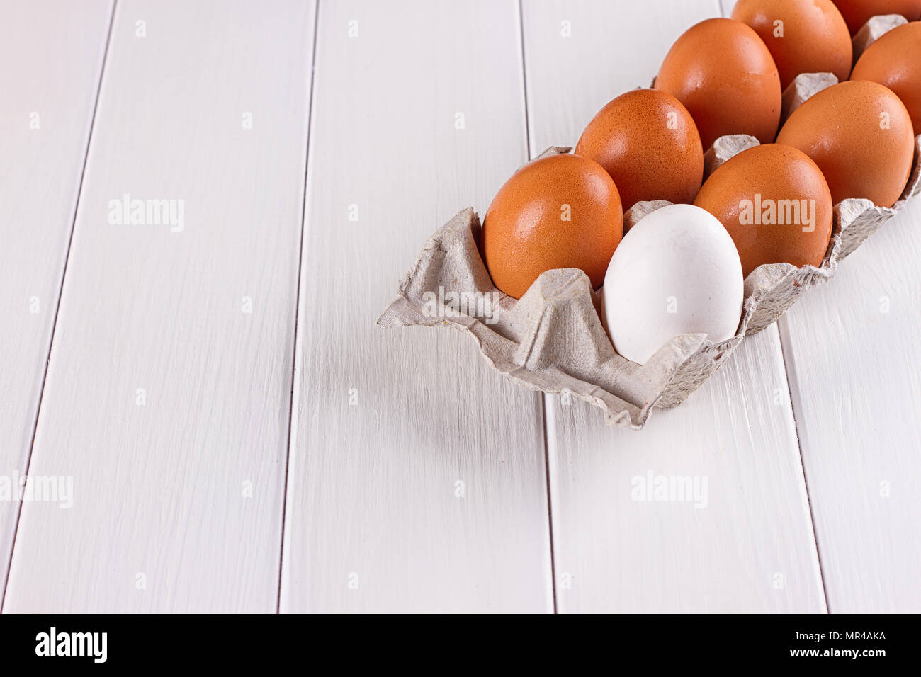 Container of ten eggs. Nine eggs brown one egg white. on white ...