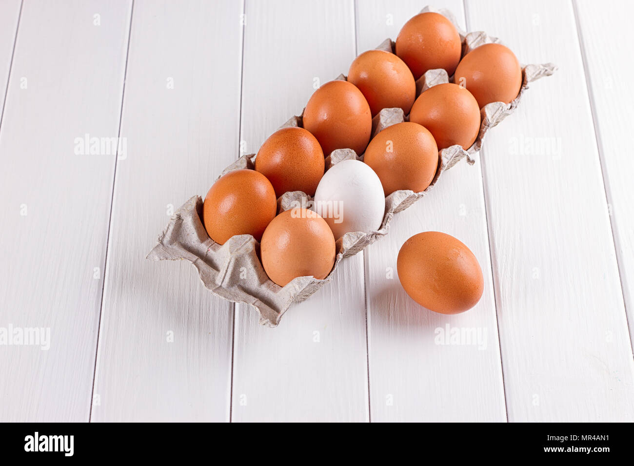 Container of ten eggs. Nine eggs brown one egg white. on white ...