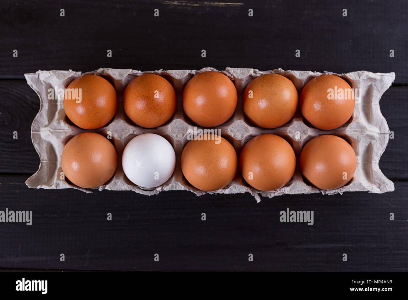 Container of ten eggs. Nine eggs brown one egg white. on black wooden ...
