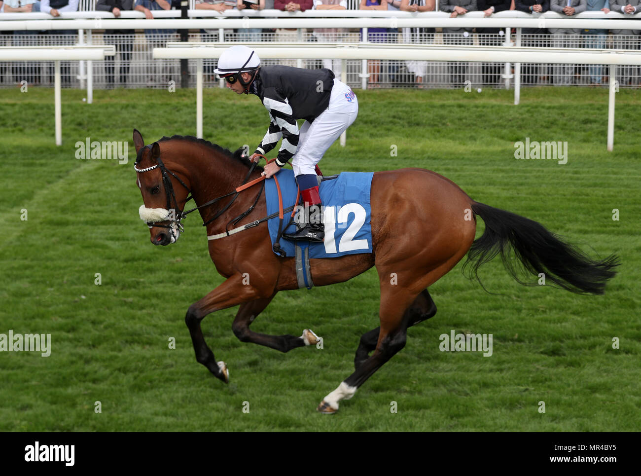 Firby hi-res stock photography and images - Alamy