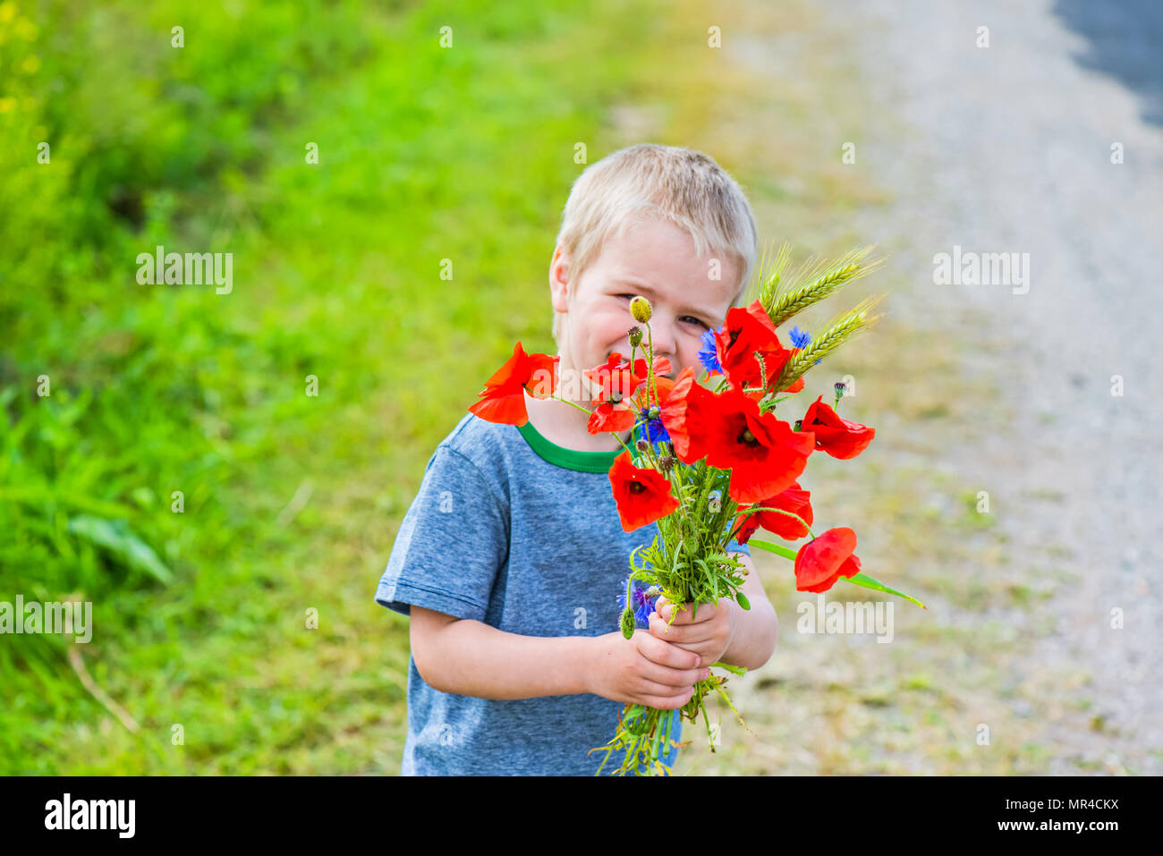Cute boy in field Stock Photo - Alamy