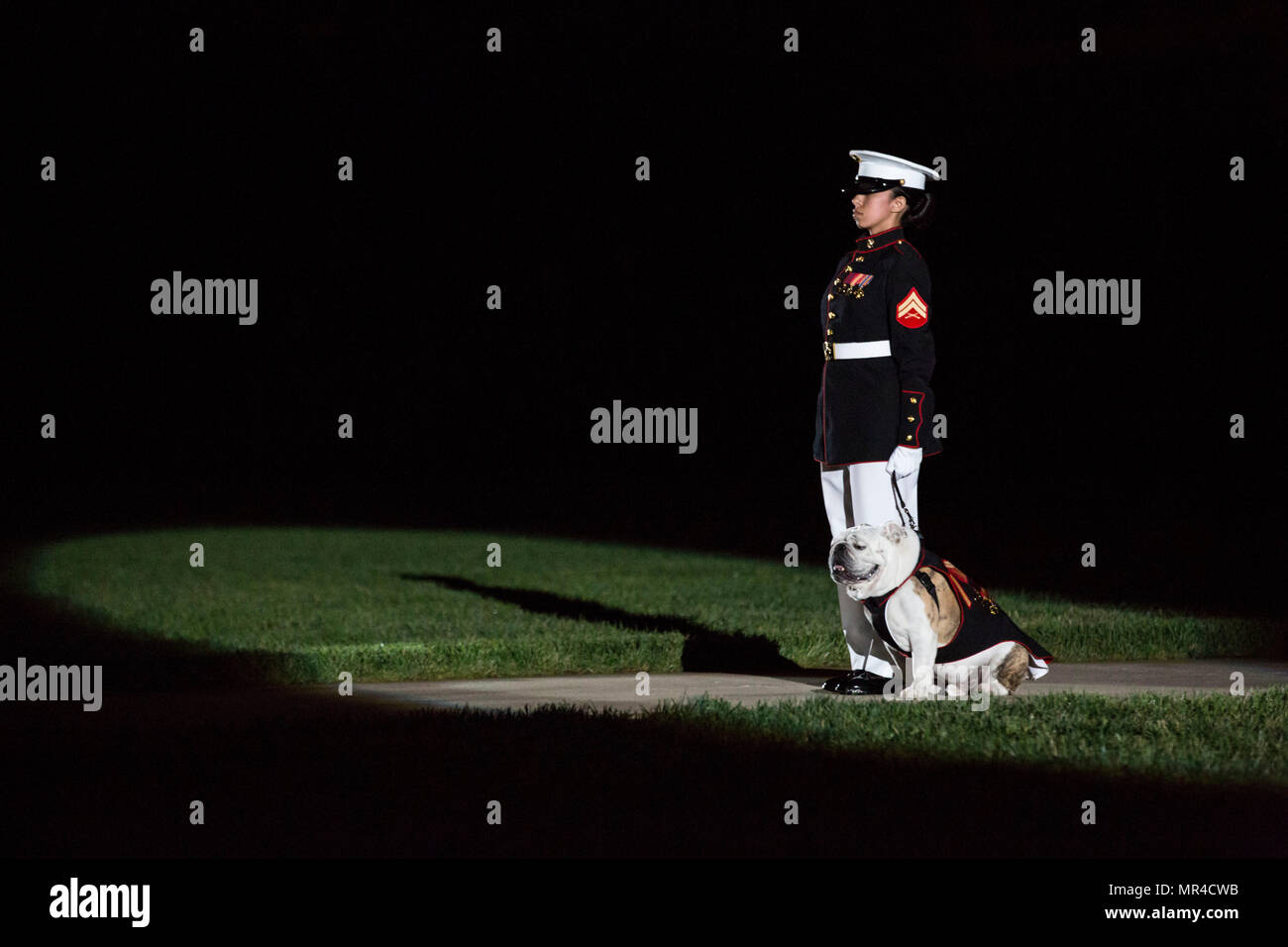 U.S. Marine Corps Cpl. Adriana Rosas, admin clerk, Marine Barracks ...