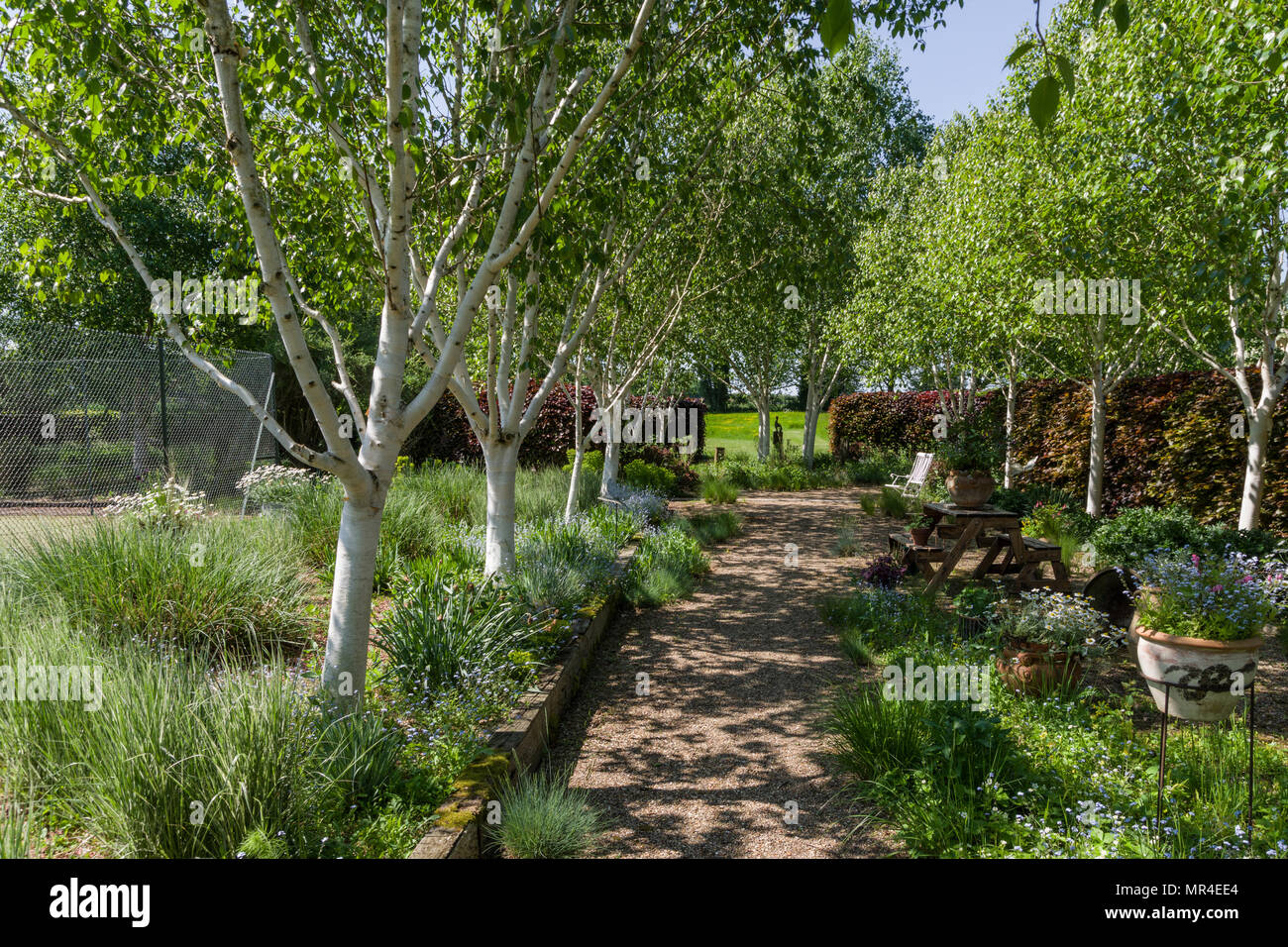 House shaded by tree hi-res stock photography and images - Alamy