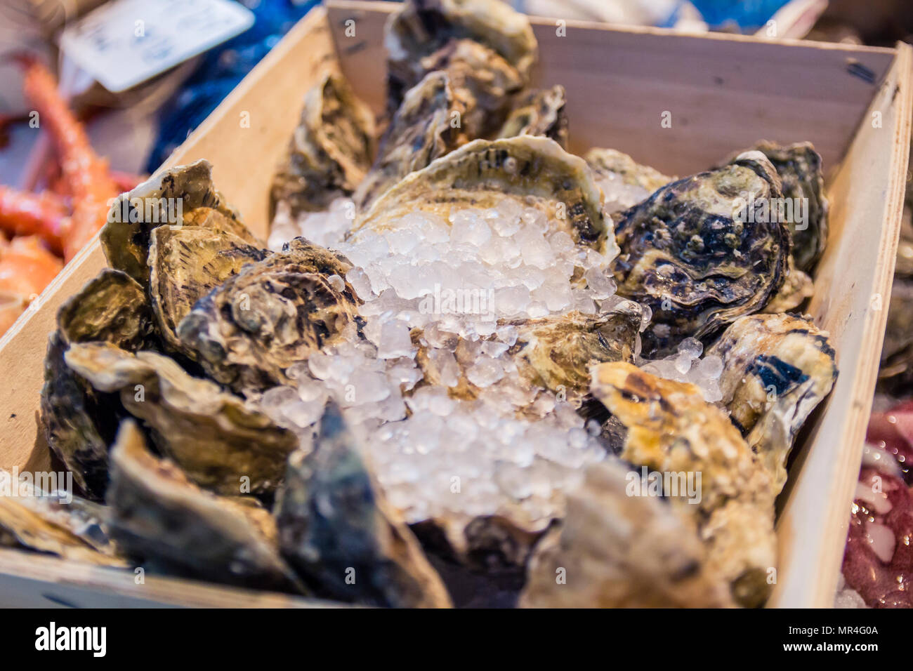 Fresh shell oysters at a fish market stall Stock Photo - Alamy