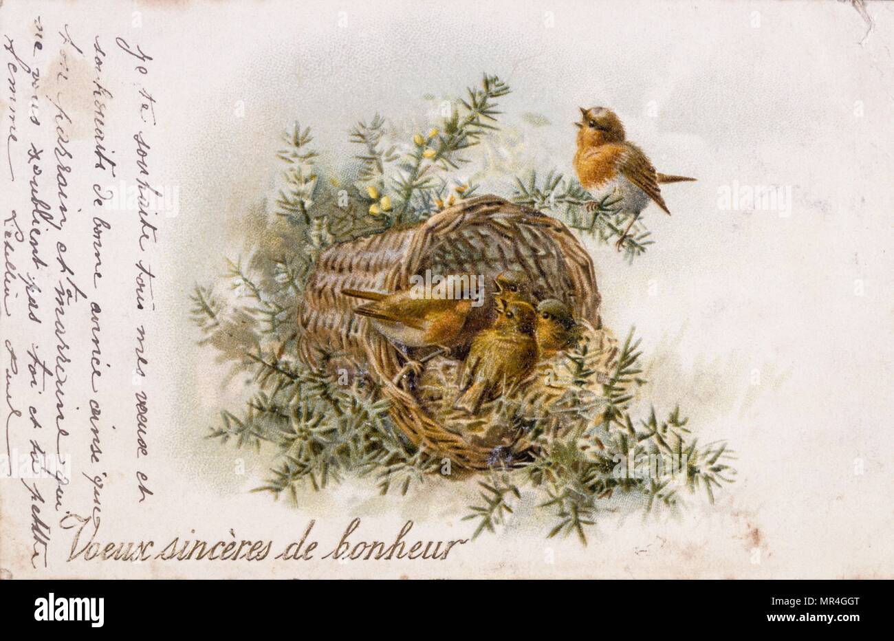 French greeting card with robin and nest elements 1900 Stock Photo - Alamy
