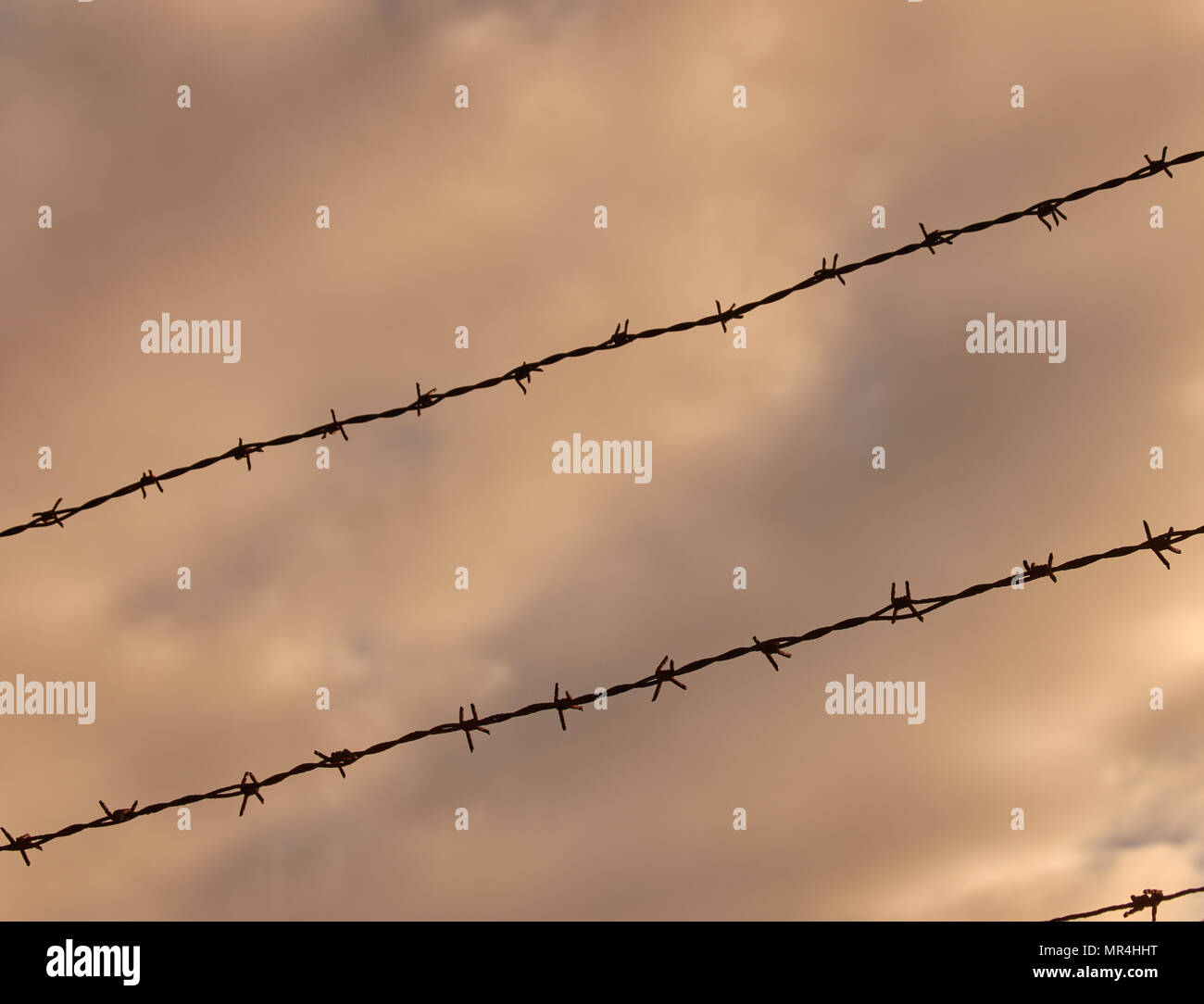 Rows of barbed wire are clamped before a dark, menacing and cloudy sky ...