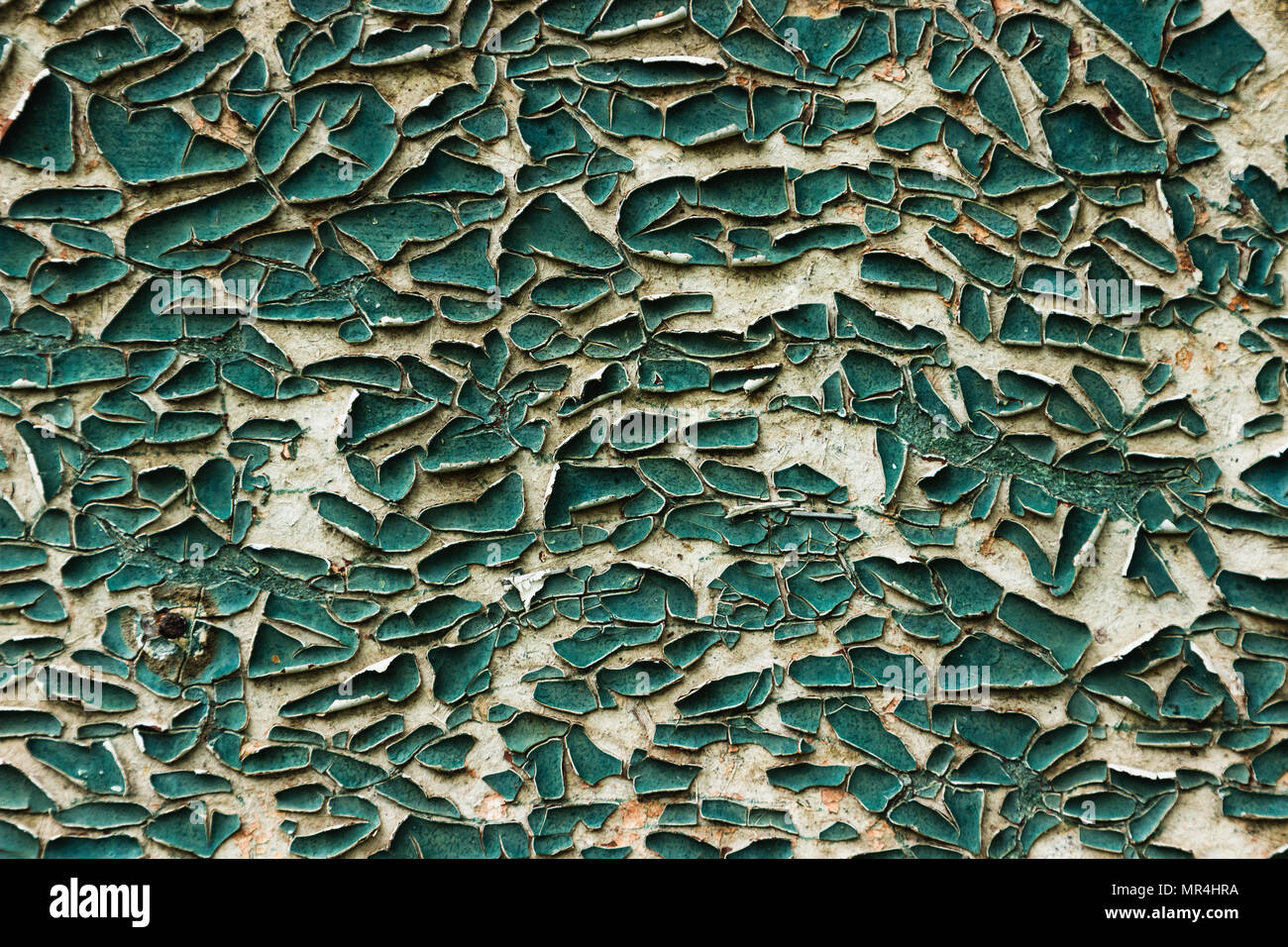 Vintage wood background with peeling grunge paint Stock Photo - Alamy