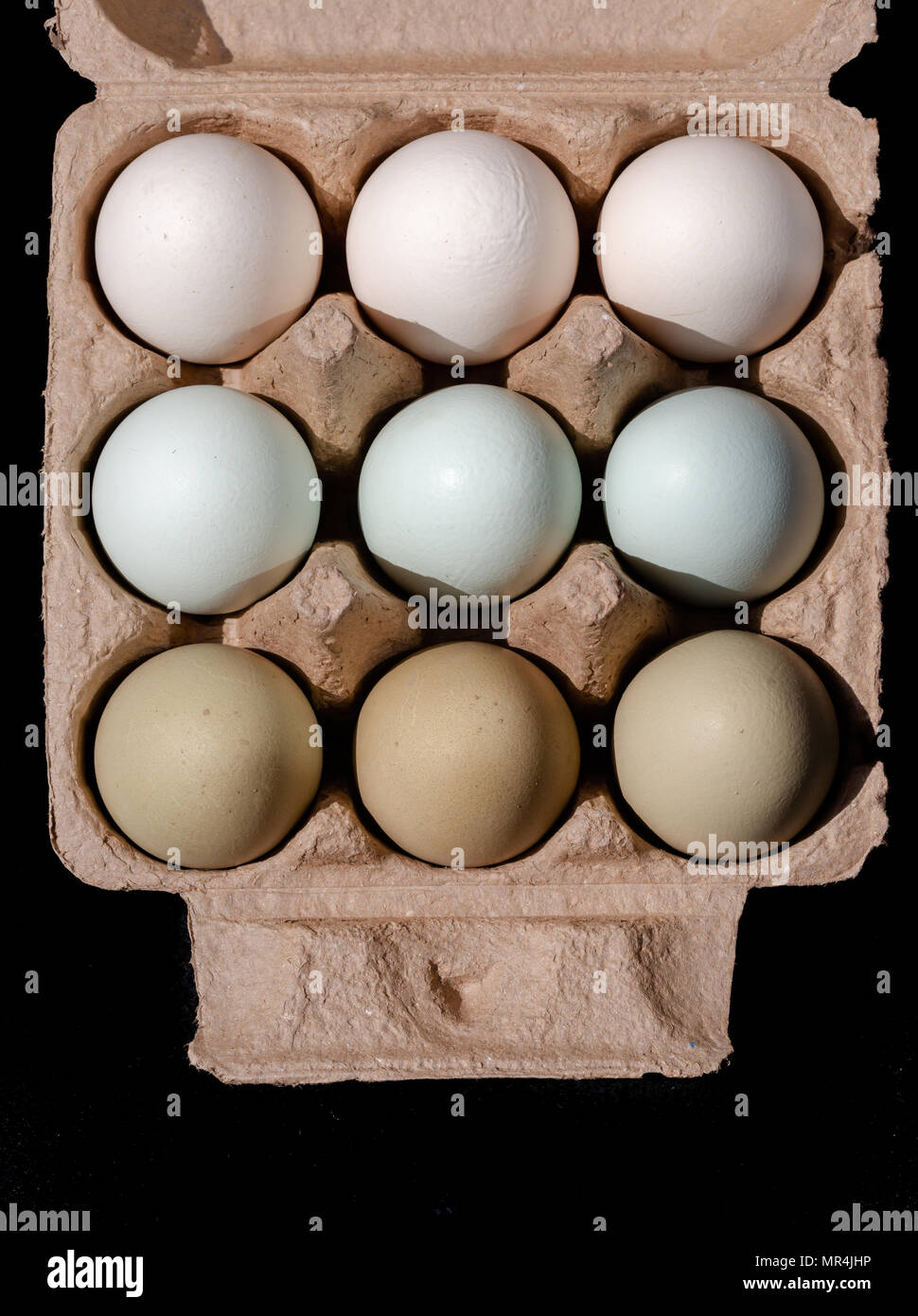 Colourful eggs in gradient natural tones still image. Full frame opaque ...