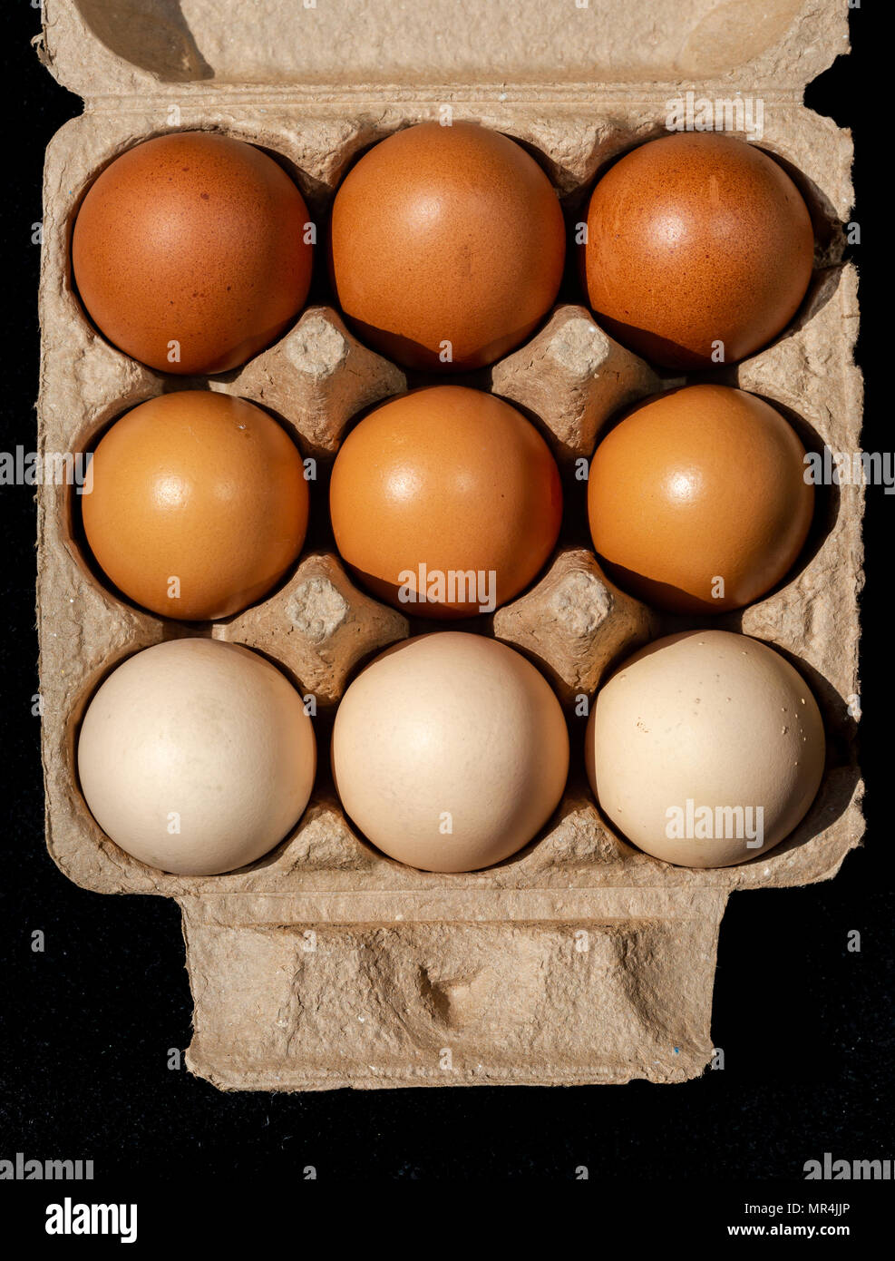 Colourful eggs in gradient natural tones still image. Full frame opaque ...