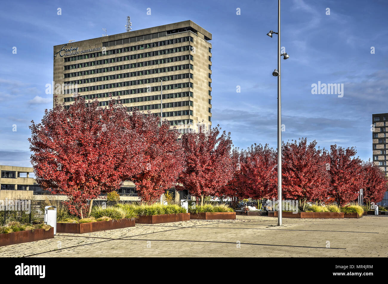 Campus promenade hi-res stock photography and images - Alamy