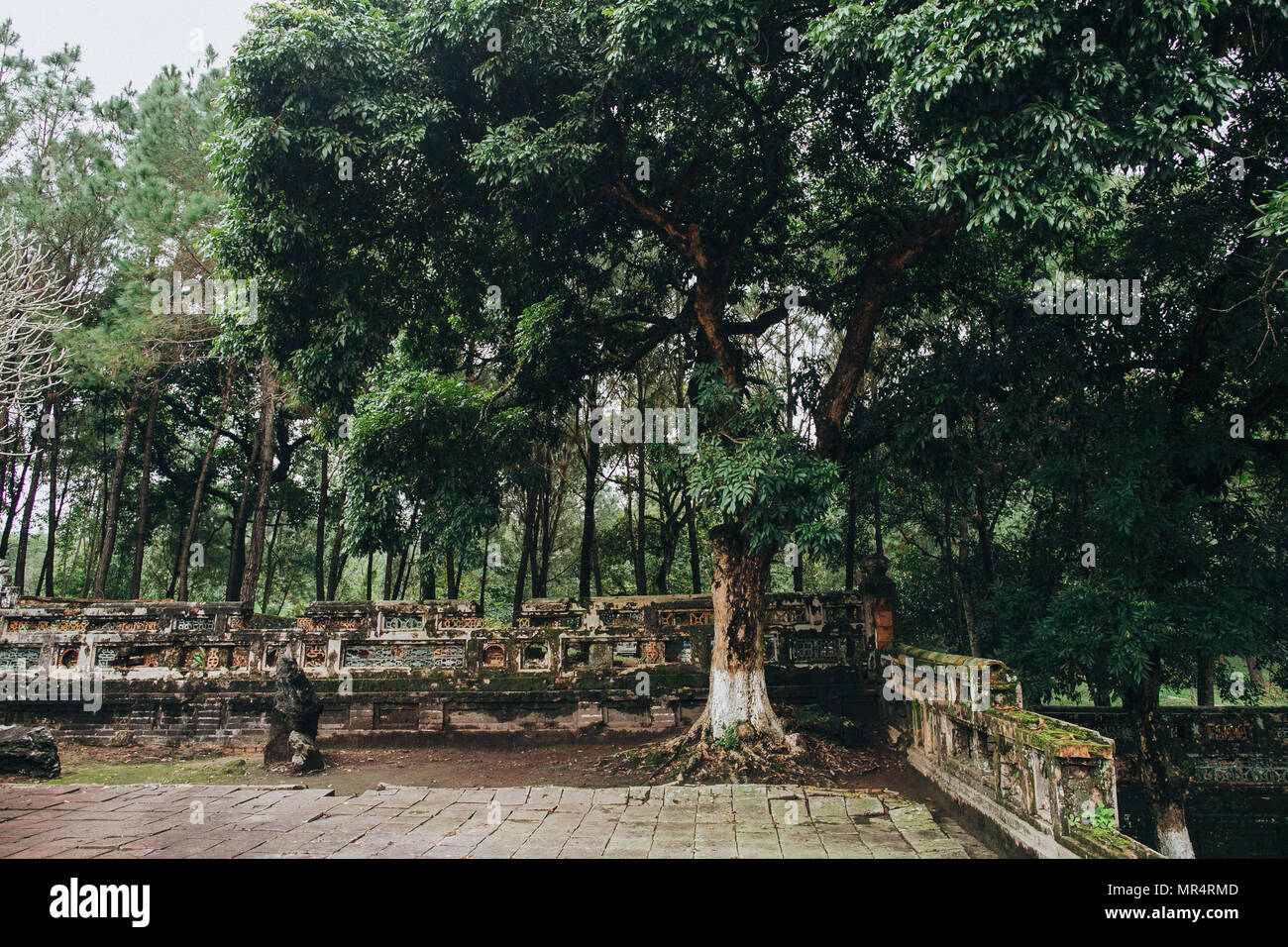 ruins of ancient architecture and green trees in Hue, Vietnam Stock ...