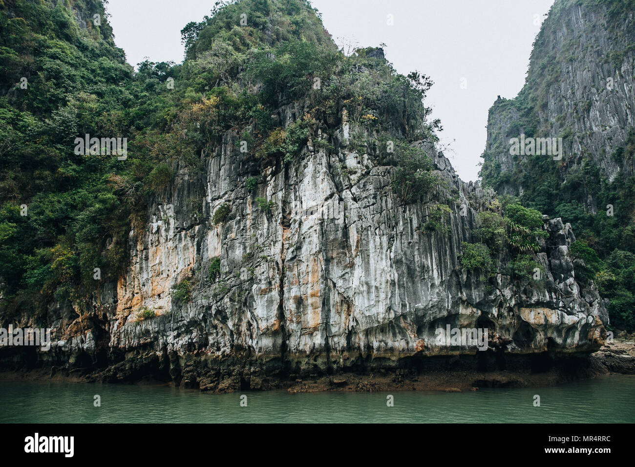 beautiful cliffs with green plants and scenic seascape in Ha Long ...