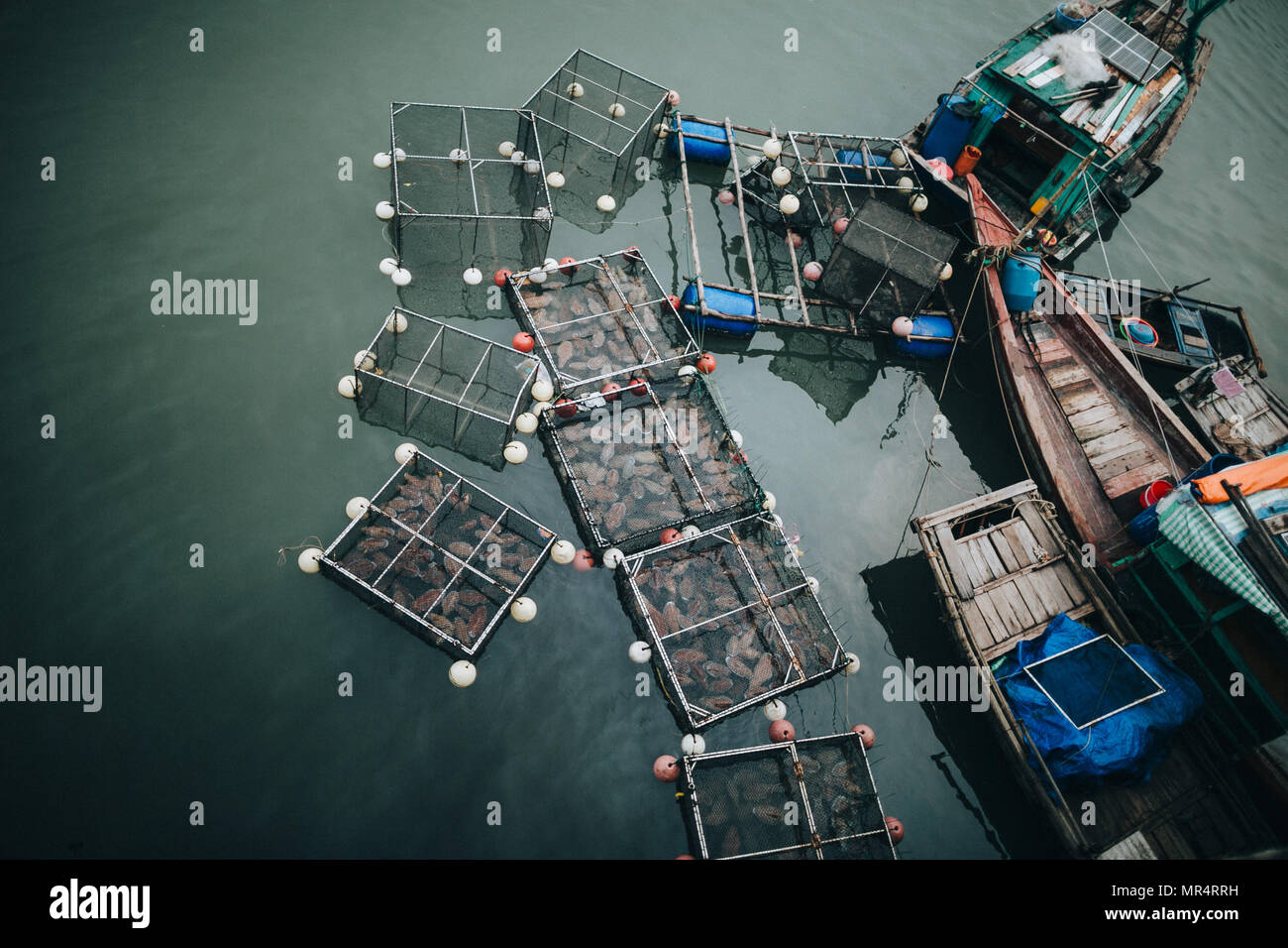 Top view containers fish hi-res stock photography and images - Alamy