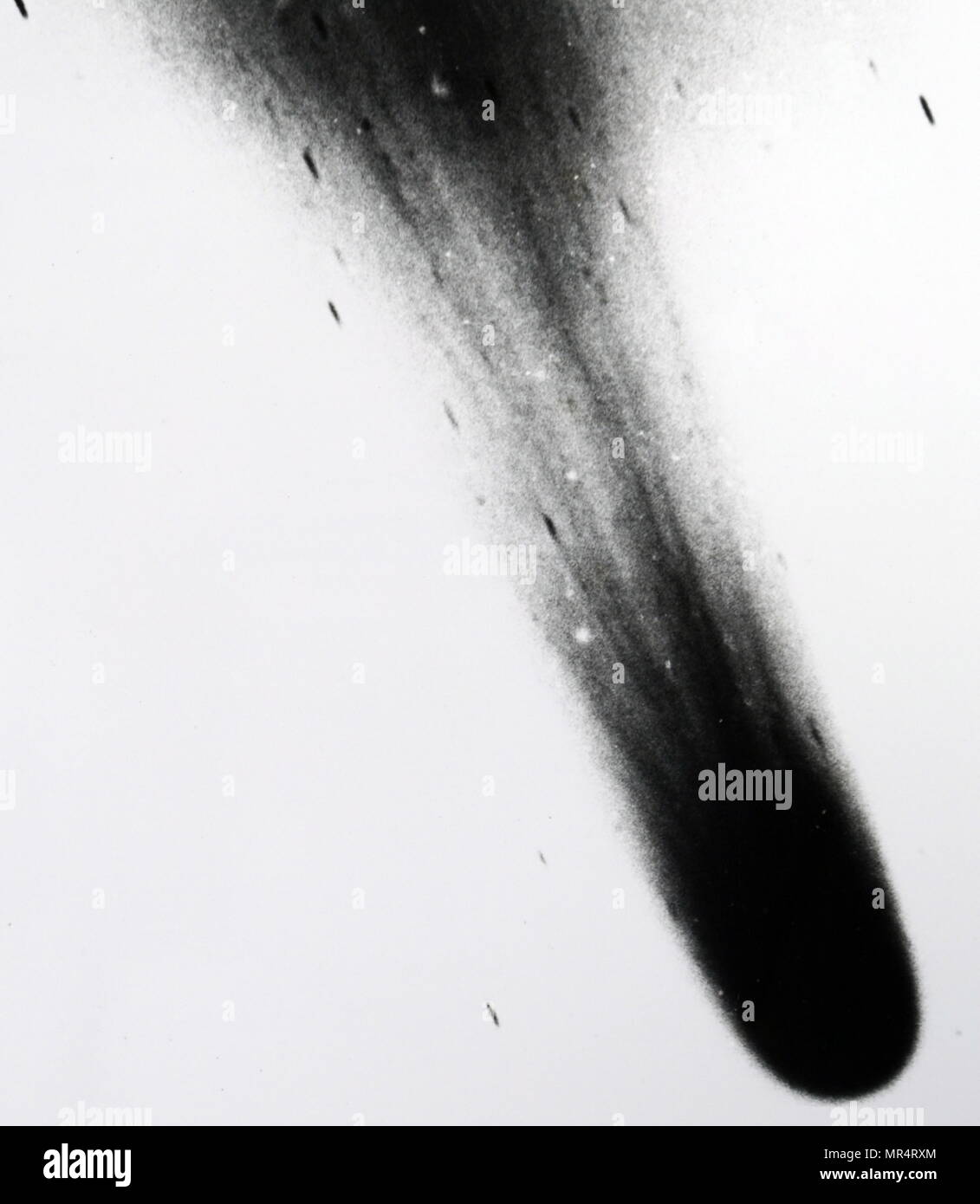 Comet halley 1p hi-res stock photography and images - Alamy