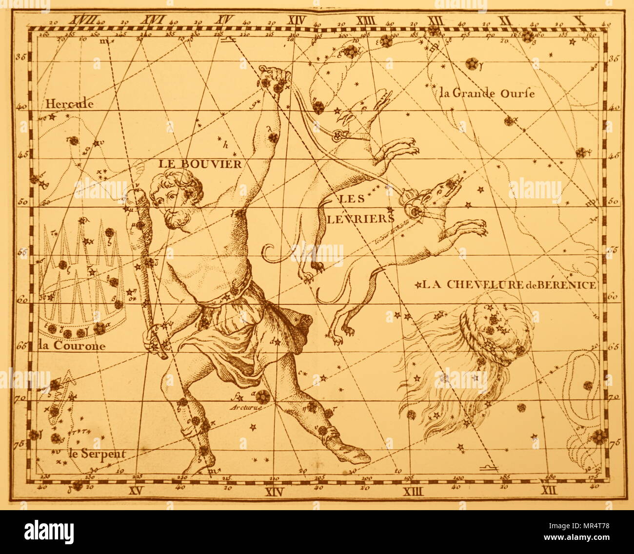 Bootes ploughman or arctophylax hi-res stock photography and images - Alamy