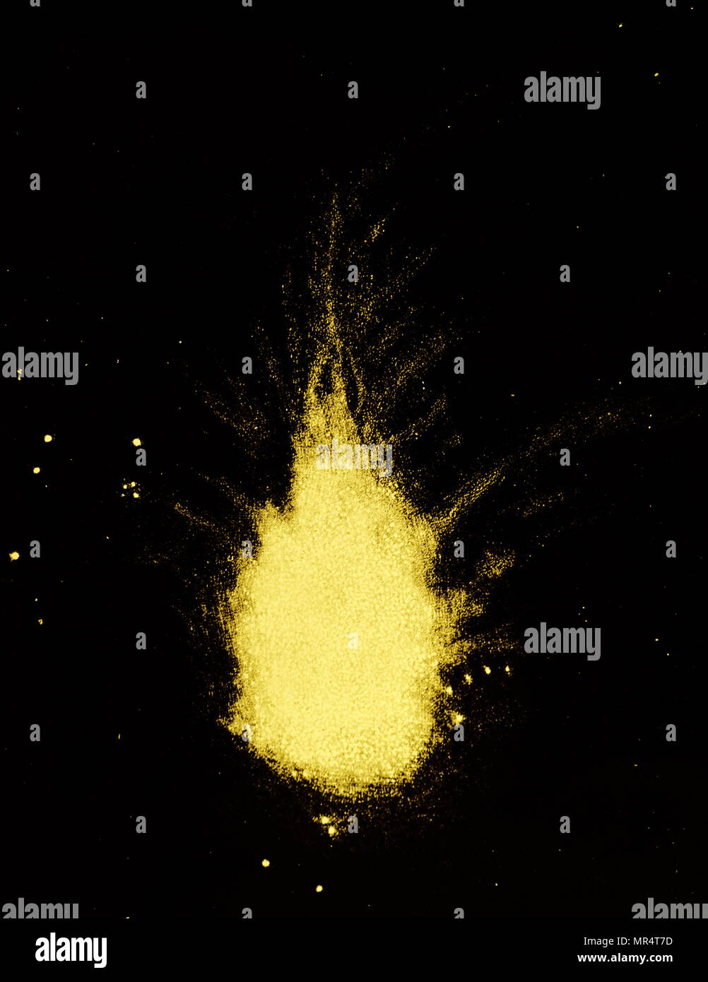 Taurus The Bull Constellation Crab Nebula