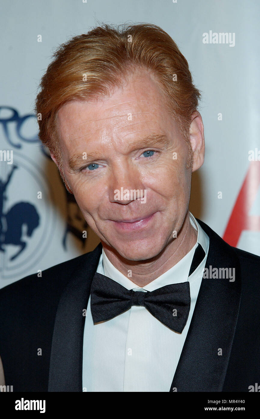 David Caruso arriving at the Carousel of Hope which support the Barbara ...