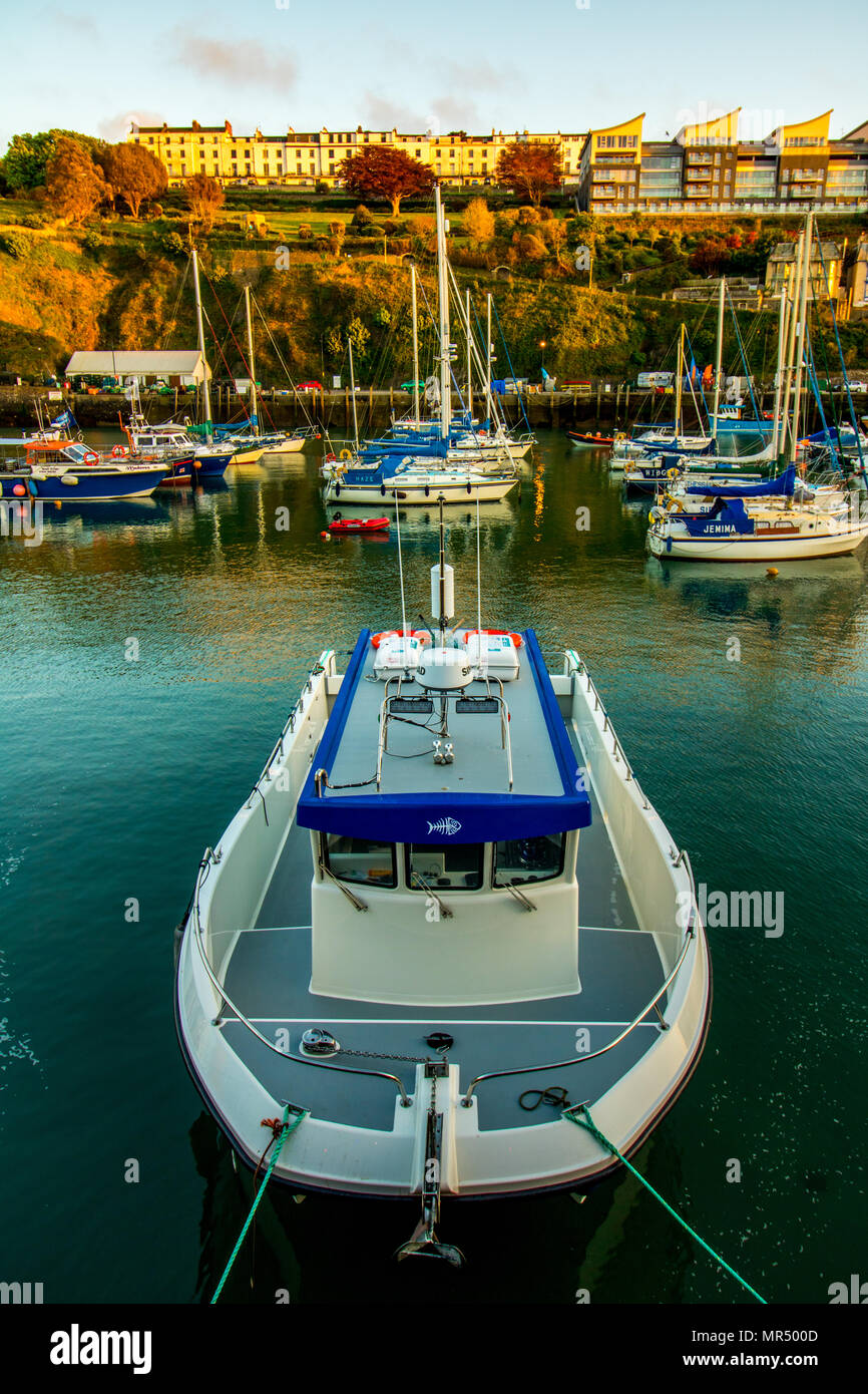 Sunny evening at Ilfracombe harbour in Devon Stock Photo - Alamy