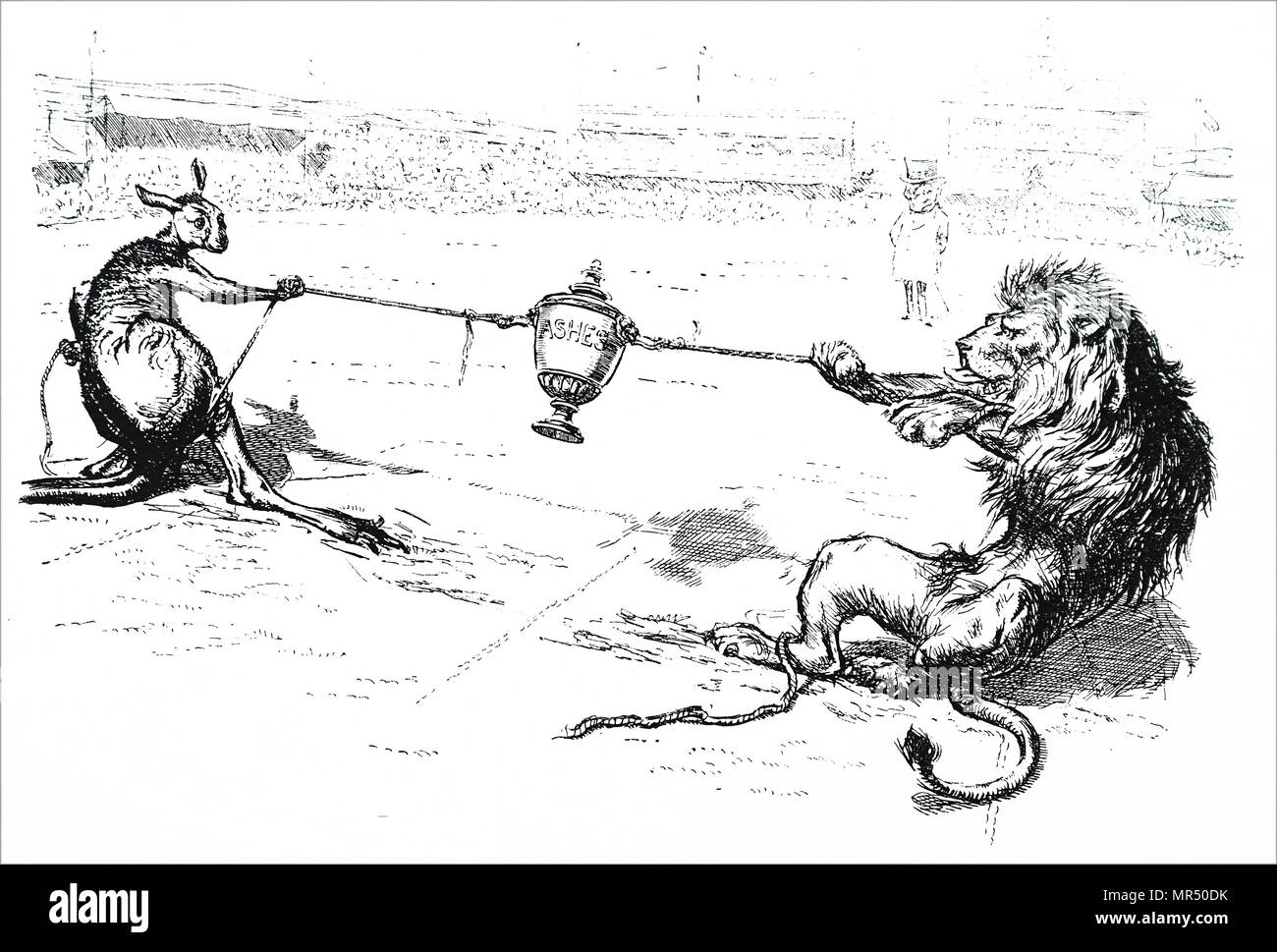 Cartoon commenting on the fight for the Ashes between England and ...