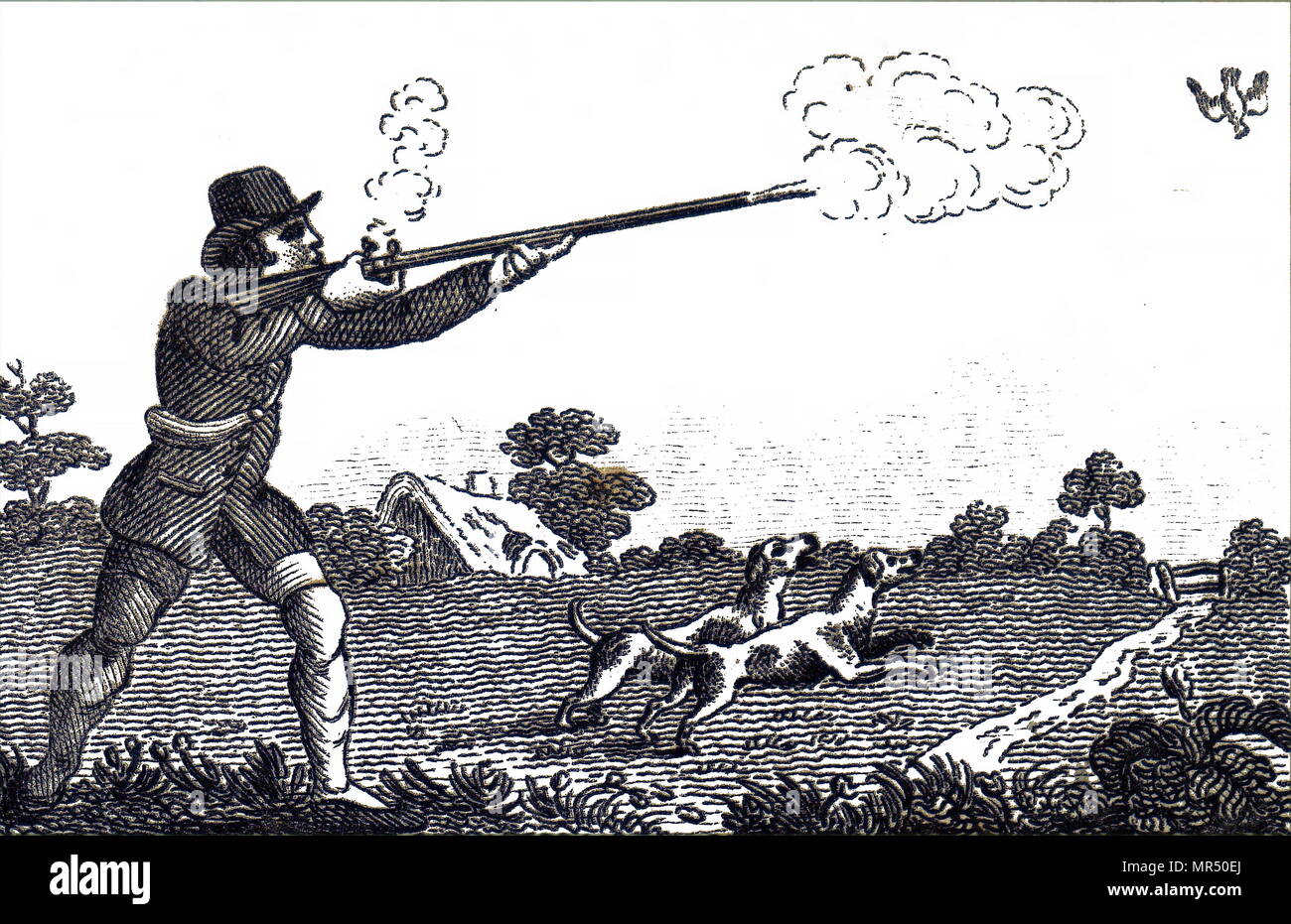 Bird shooting hi-res stock photography and images - Alamy