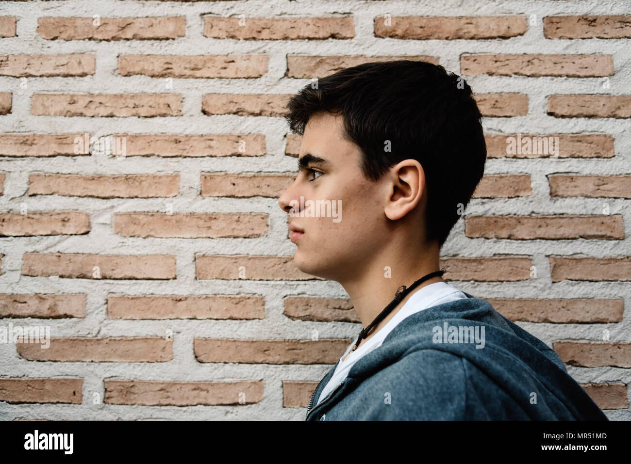 Real brick wall hi-res stock photography and images - Alamy