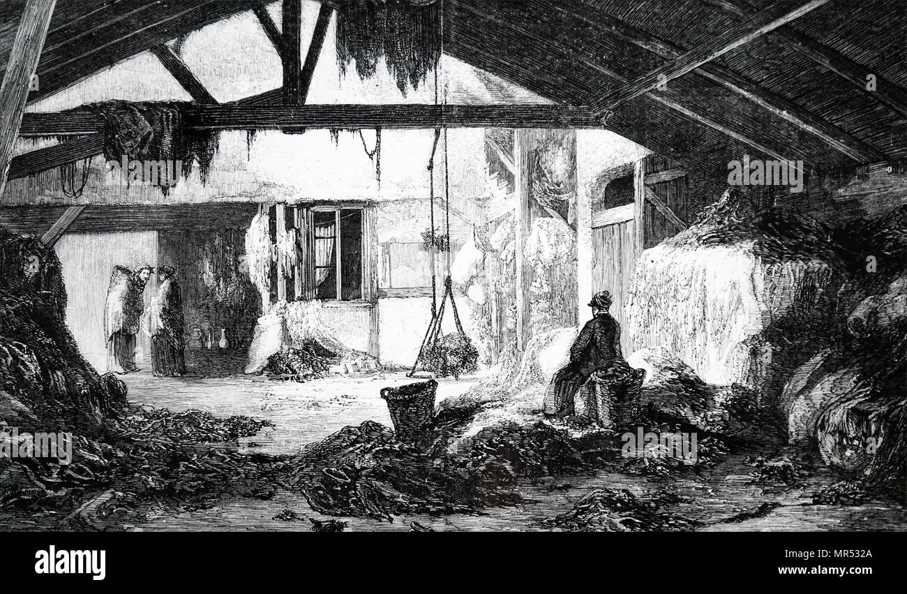 Illustration depicting a rag warehouse in Paris, France. Dated 19th ...