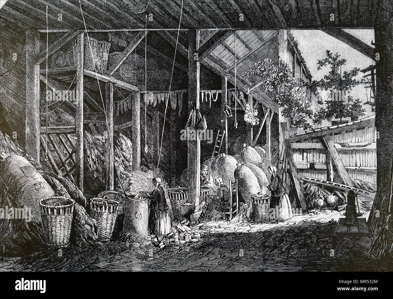 Illustration depicting a rag warehouse in Paris, France. Dated 19th ...