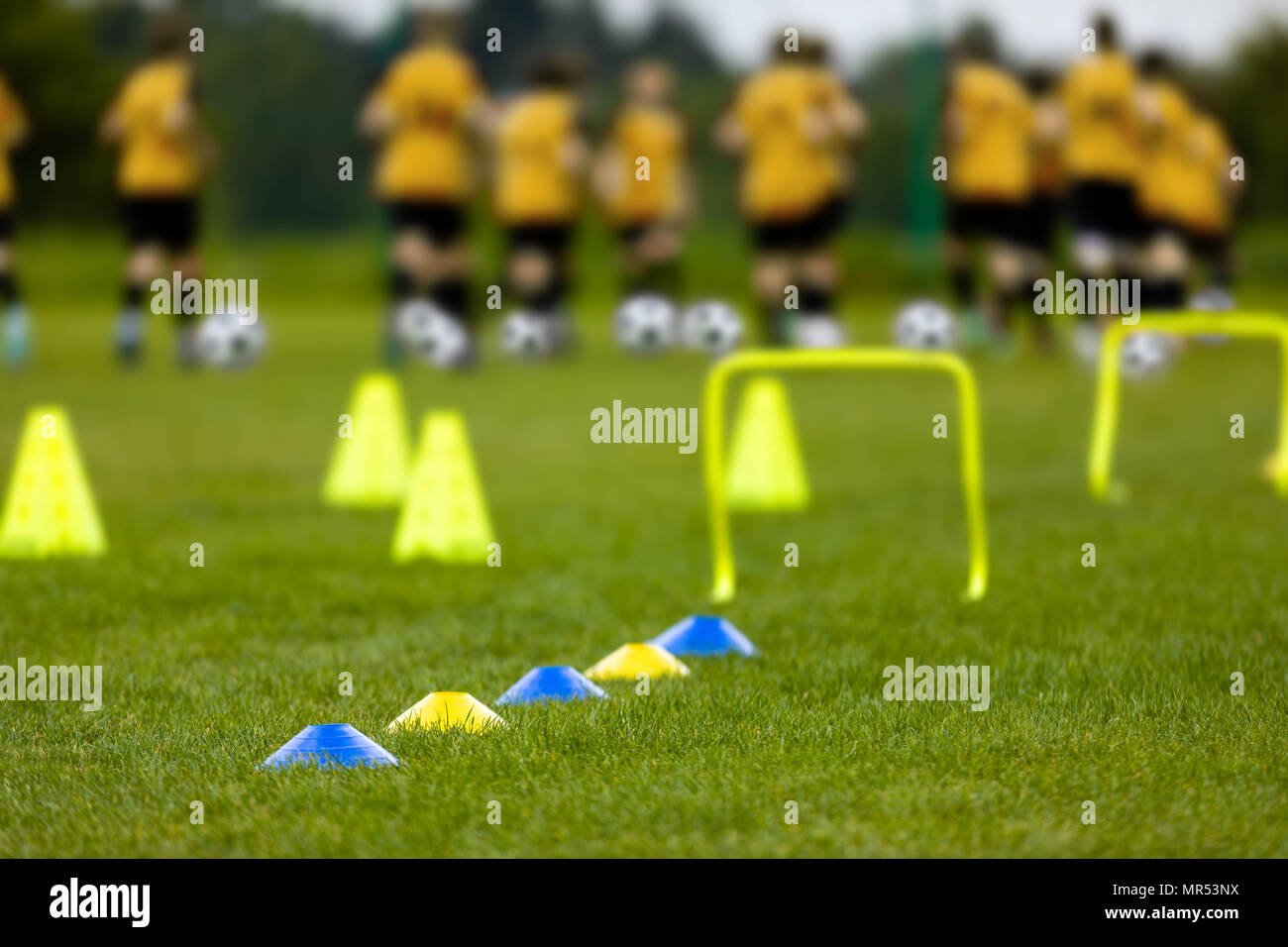 Football Training Session. Soccer Balls, Pylons, Cones, Marks and ...