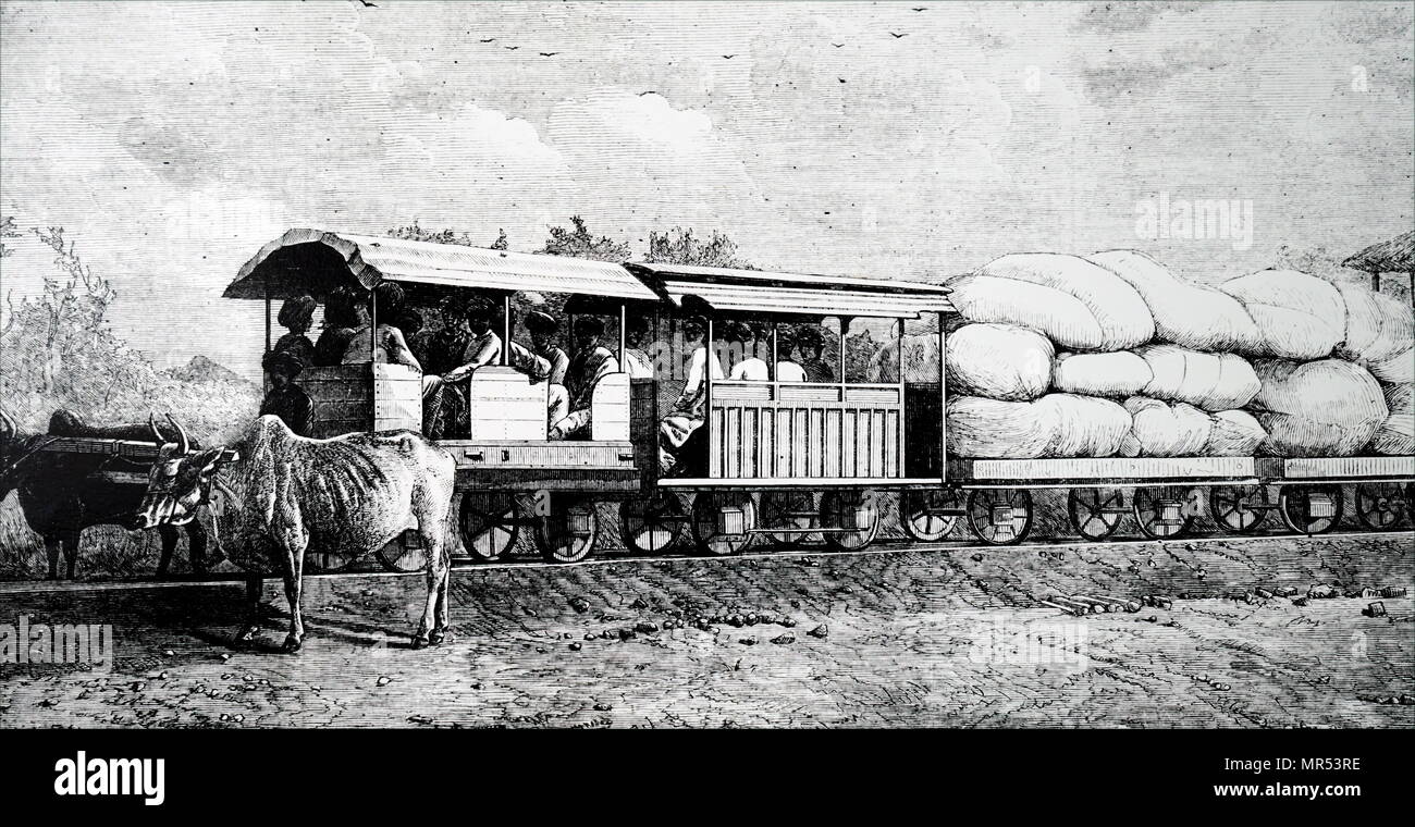 Bullock hi-res stock photography and images - Alamy