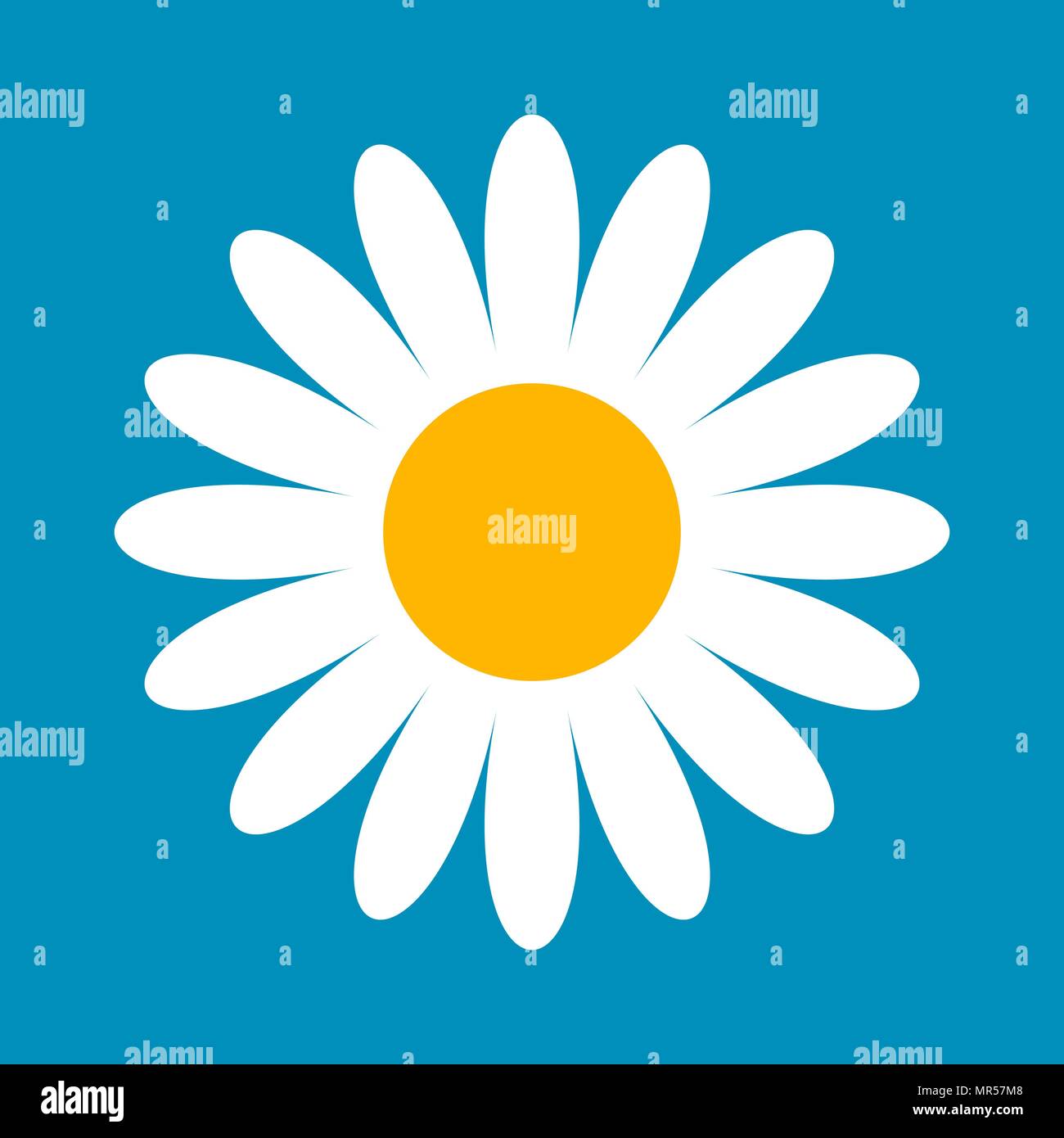 Daisy icon, summer symbol, chamomile vector illustration Stock Vector ...