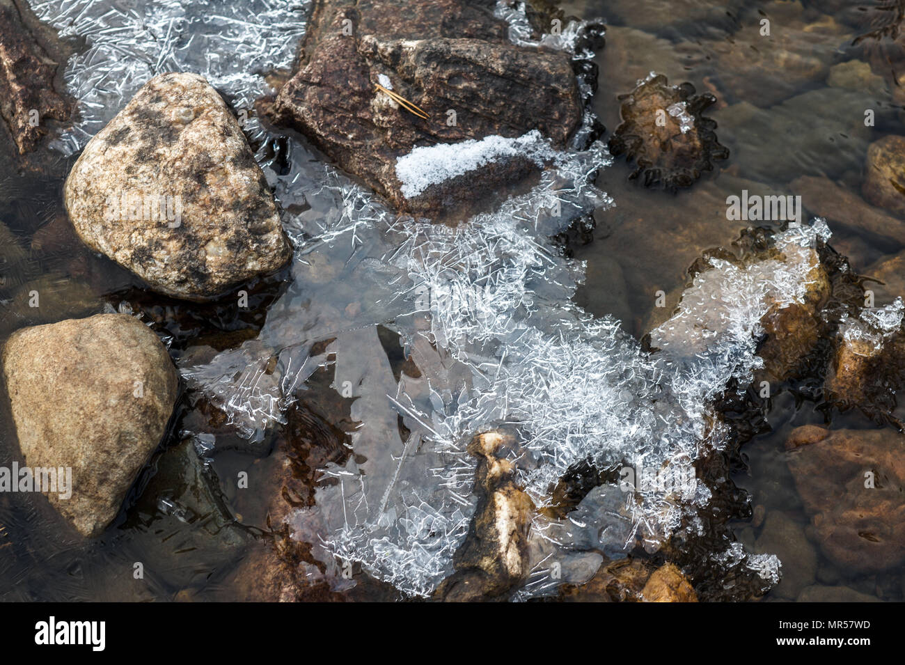 thin plates of ice on rocks in a mountain river Stock Photo - Alamy
