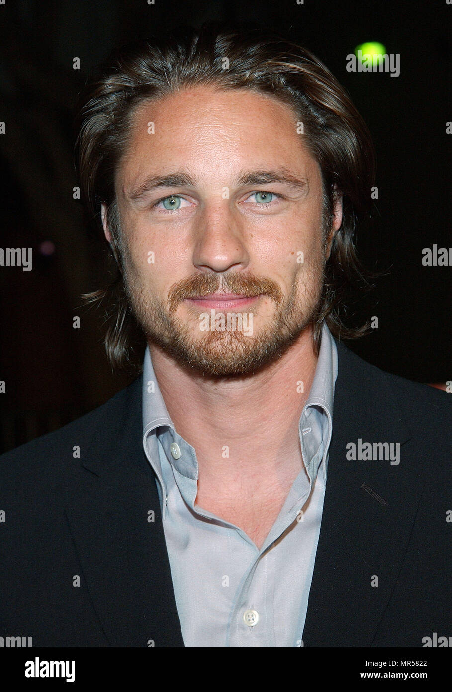 Martin Henderson The Ring
