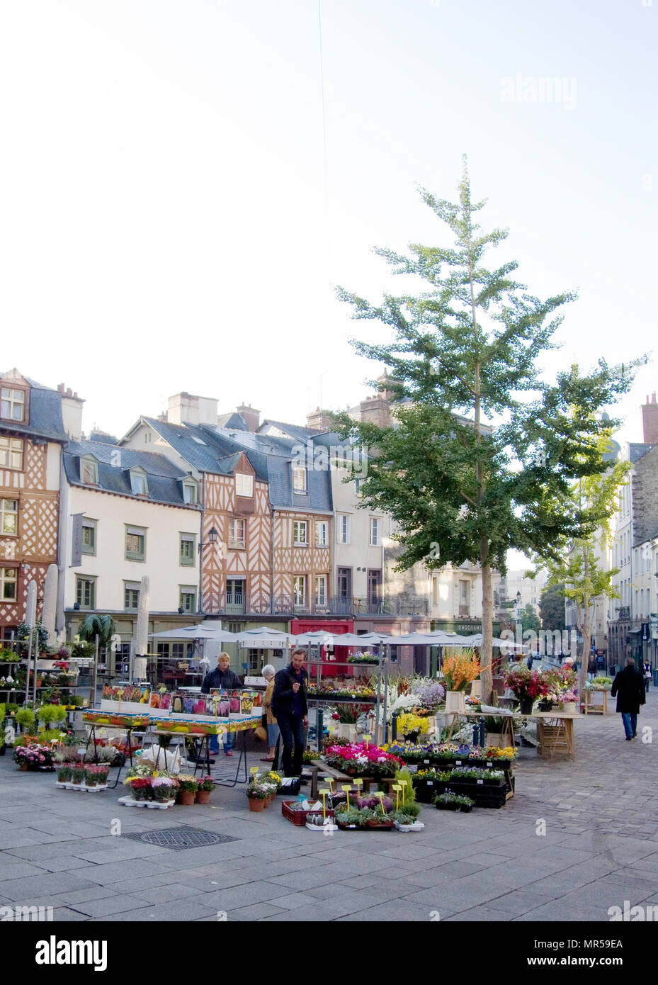 Rennes, FRANCE. Wet Saturday, Morning Flower Market, Flower stalls ...