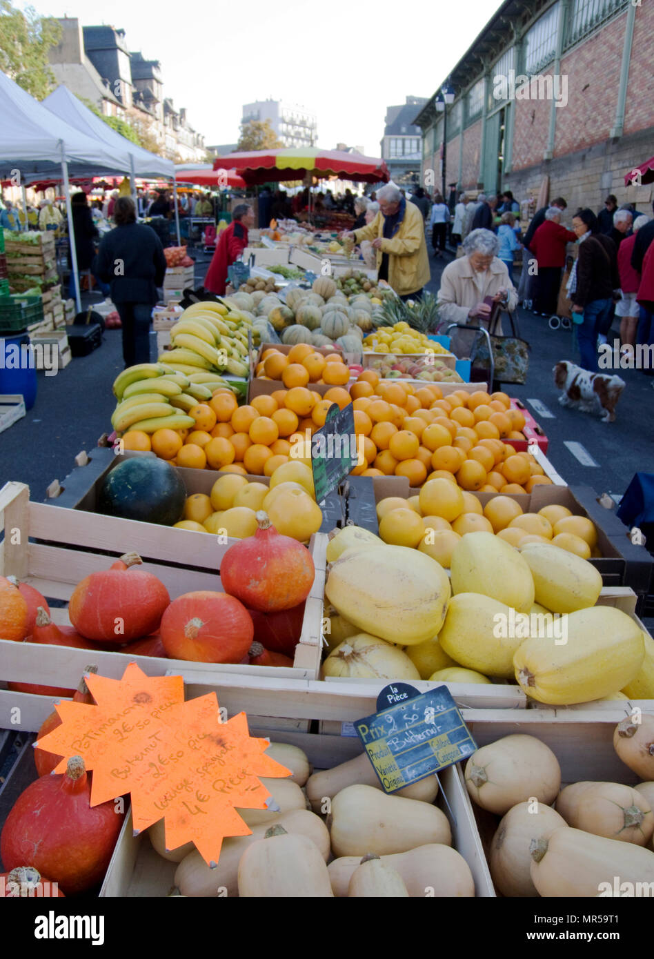 Rennes, FRANCE, "Fresh Produce on display, Various, Varieties of Squash ...