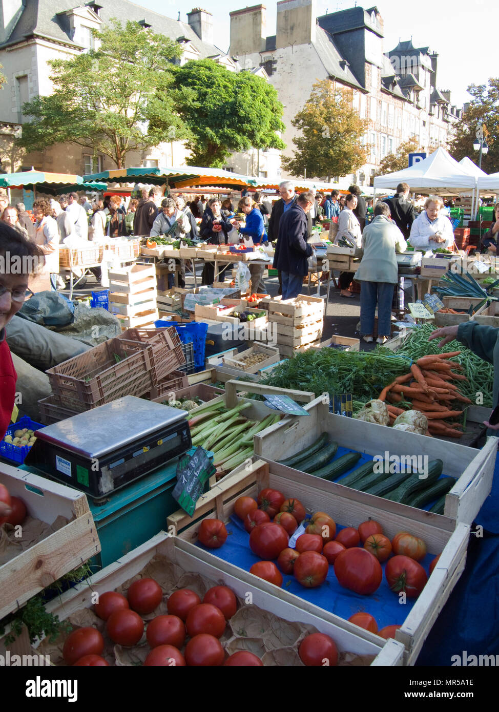 Rennes, FRANCE, "Fresh Produce, Potatoes, Onion Garlic, Celery and ...