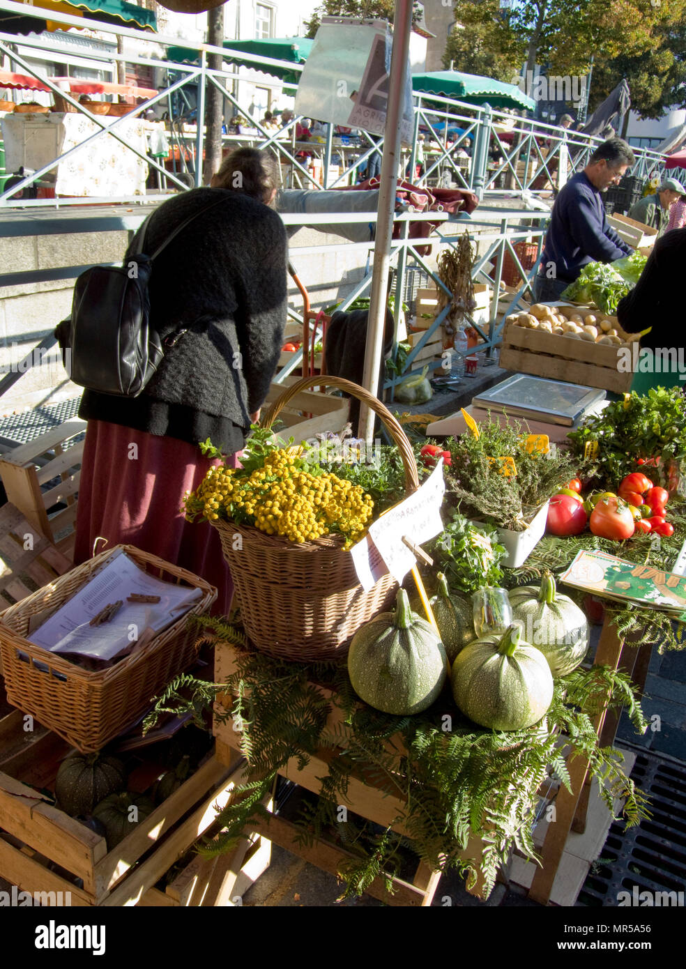 Rennes, FRANCE, "Fresh Produce, Red and White Grapes, Kiwi Fruit, Pears ...