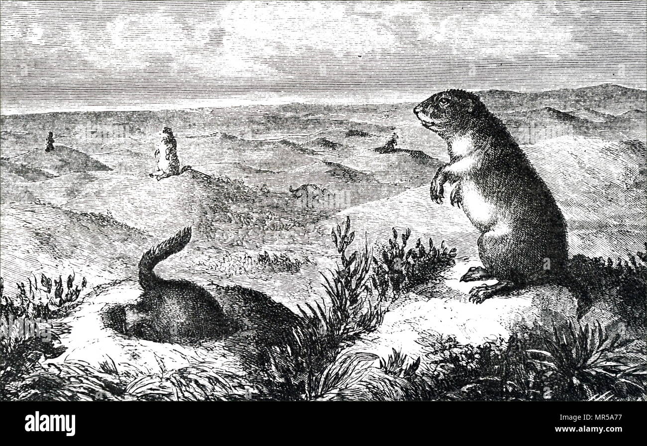 Usa engraving 1887 hi-res stock photography and images - Alamy