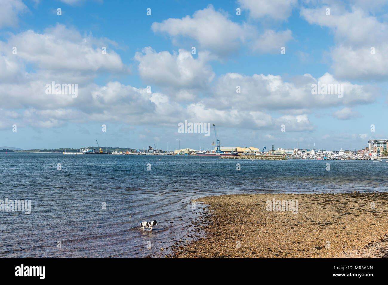 Poole promenade hi-res stock photography and images - Alamy