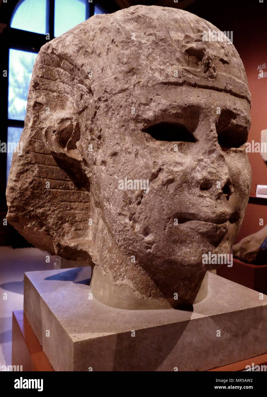 Colossal head from a Royal statue from Ancient Egypt. Built from ...