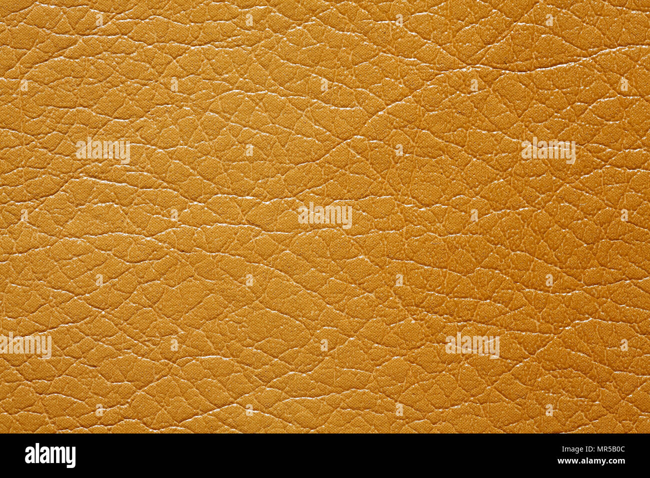 Warm leatherette hi-res stock photography and images - Alamy