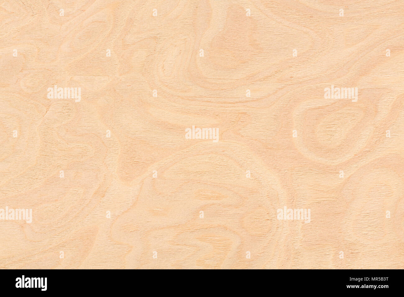 Ash burl design texture. Natural background closeup Stock Photo - Alamy