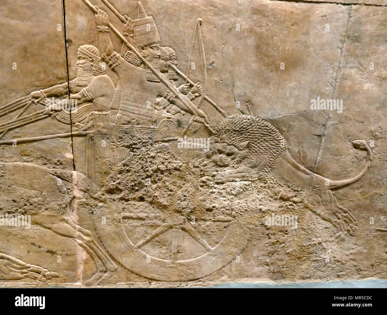Assyrian wall relief depicting the royal lion hunt. Assyrian, about 645 ...