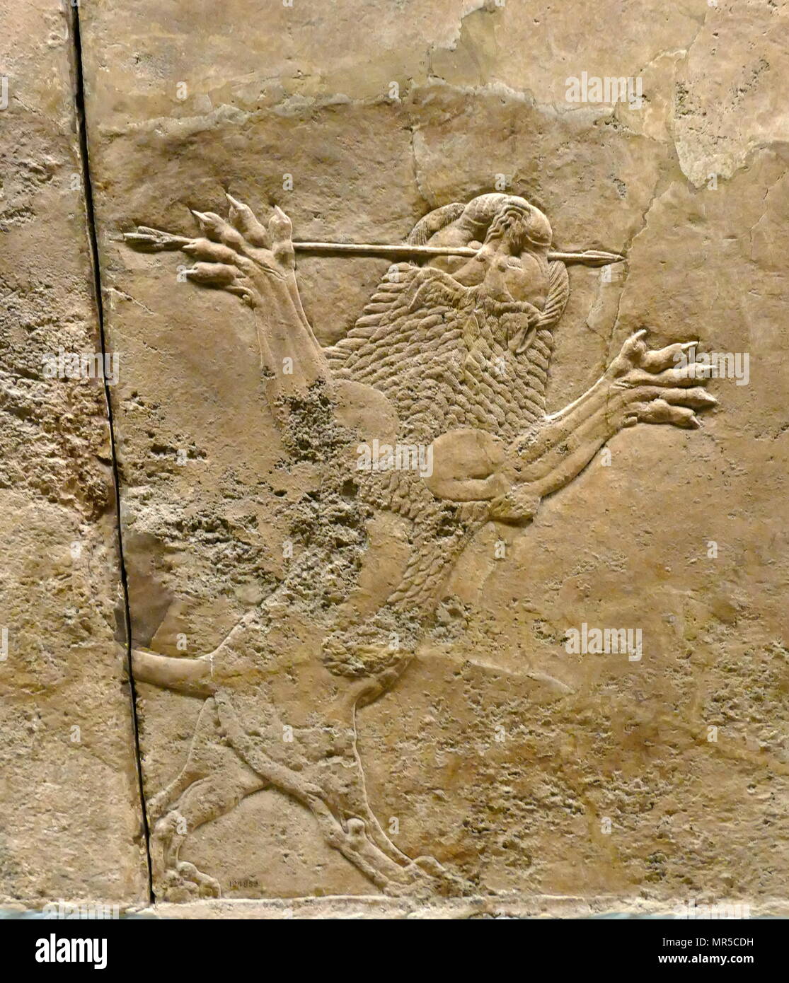 Assyrian relief royal lion hunt hi-res stock photography and images - Alamy
