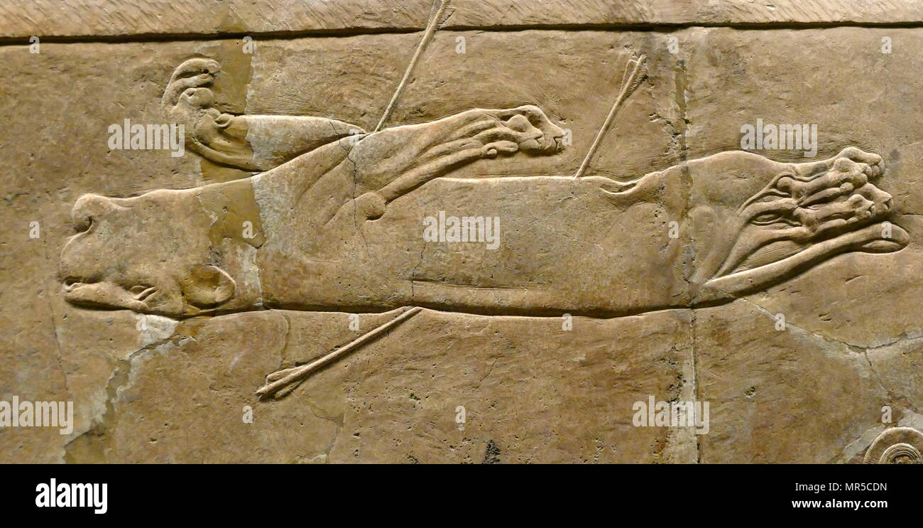 Assyrian relief royal lion hunt hi-res stock photography and images - Alamy