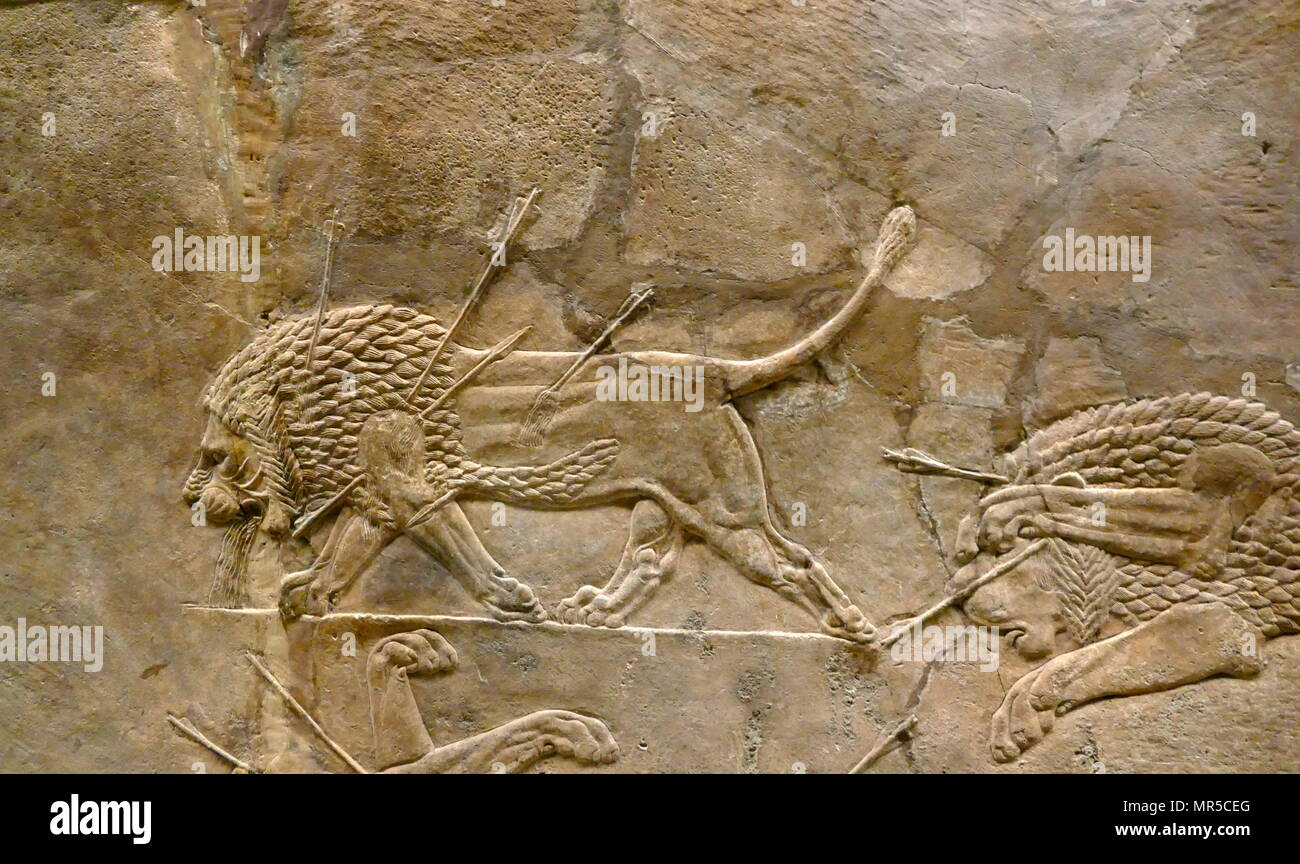 Assyrian wall relief depicting the royal lion hunt. Assyrian, about 645 ...