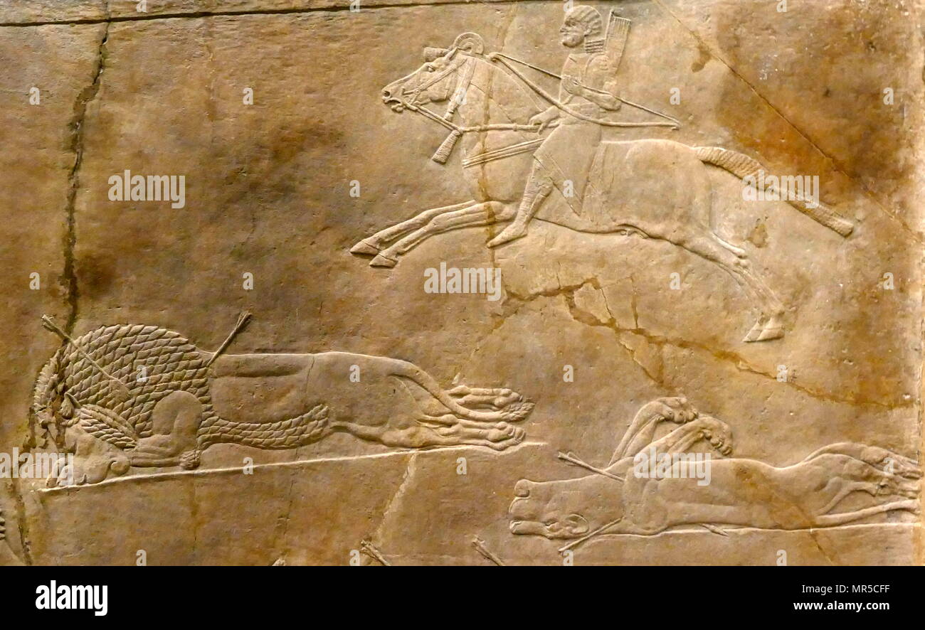 Assyrian wall relief depicting the royal lion hunt. Assyrian, about 645 ...
