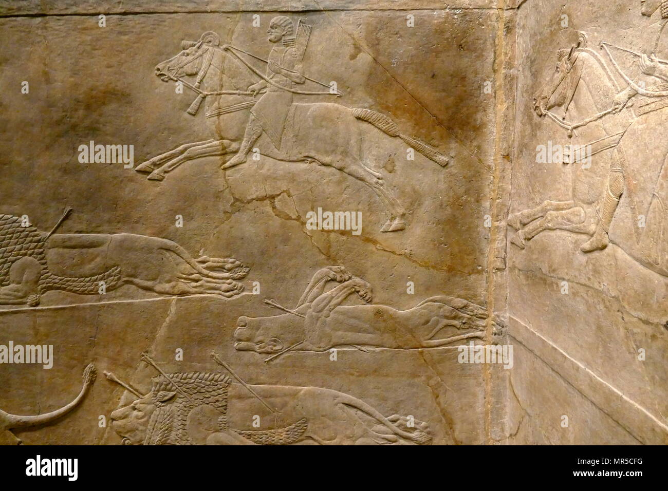 Assyrian wall relief depicting the royal lion hunt. Assyrian, about 645 ...