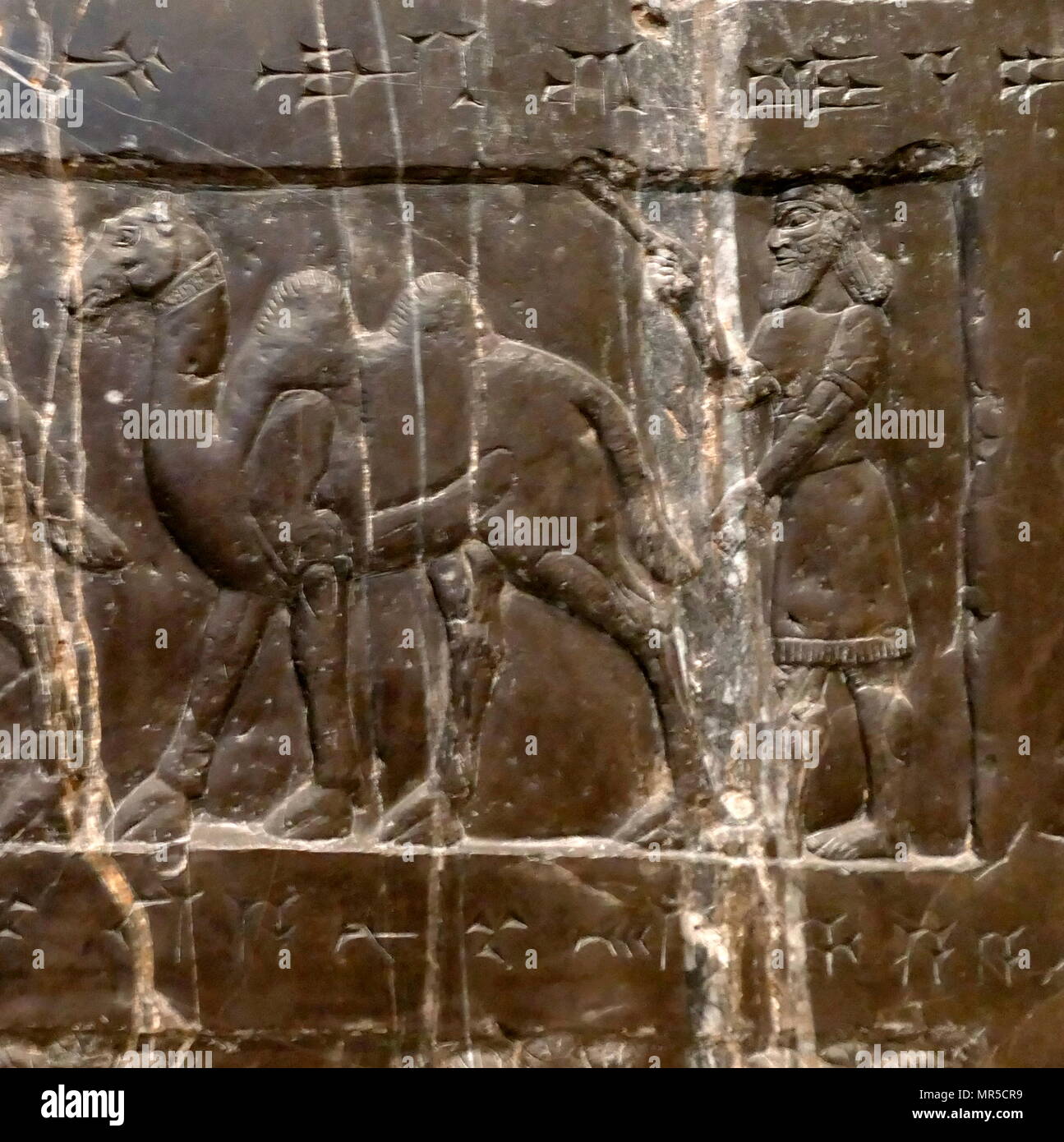 Black obelisk of shalmaneser iii hi-res stock photography and images ...